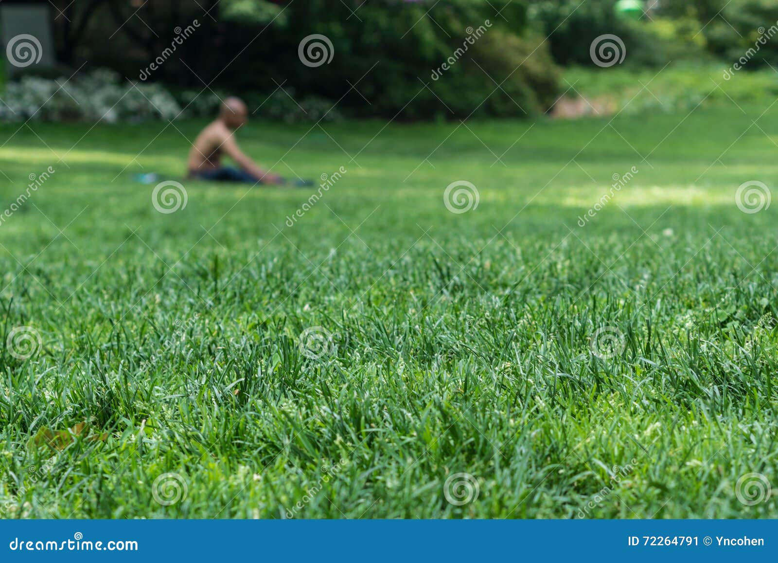 Grass in Foreground, Individual Blurred in Background Stock Image ...
