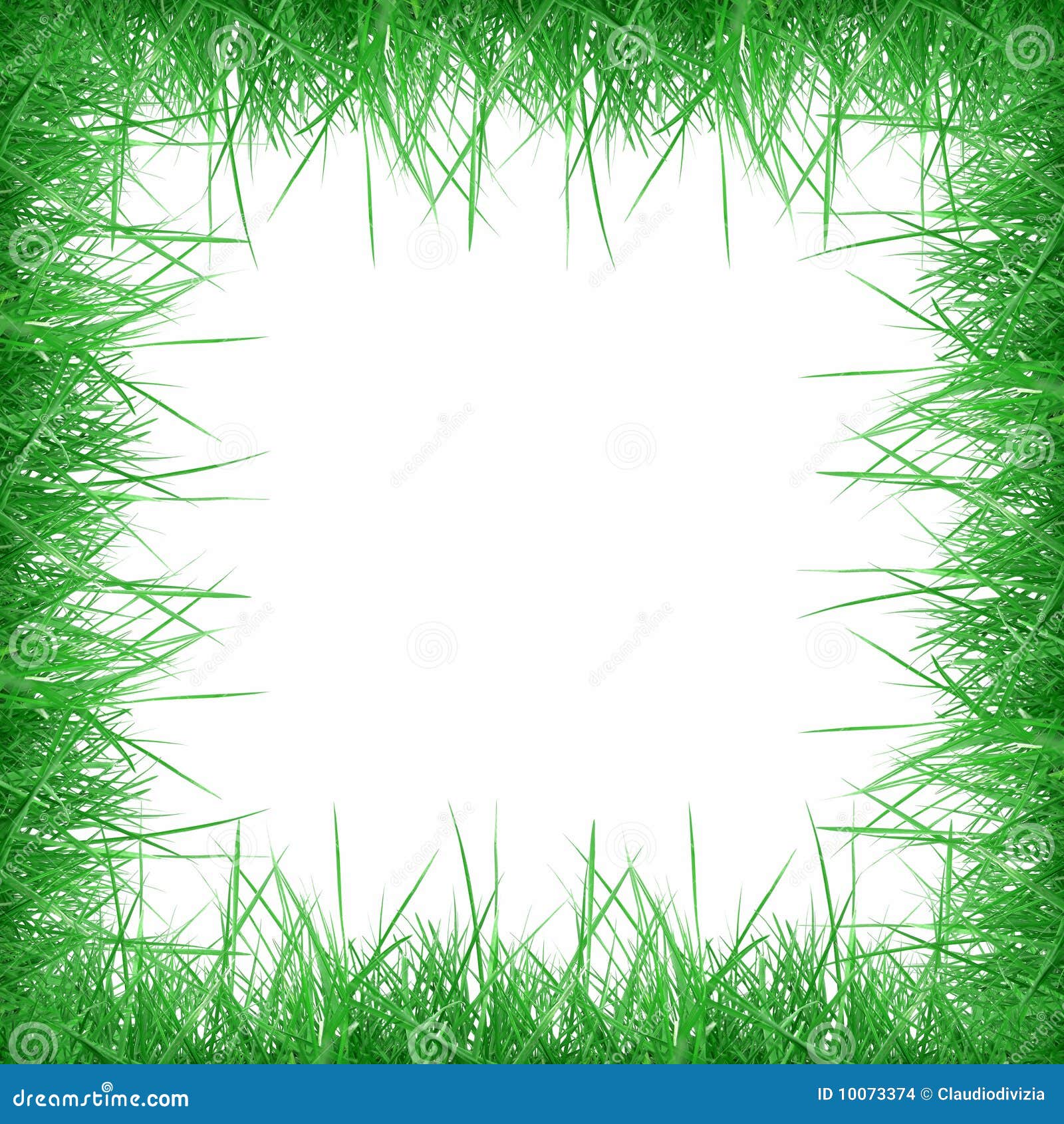 Grass frame stock illustration. Illustration of decoration - 10073374