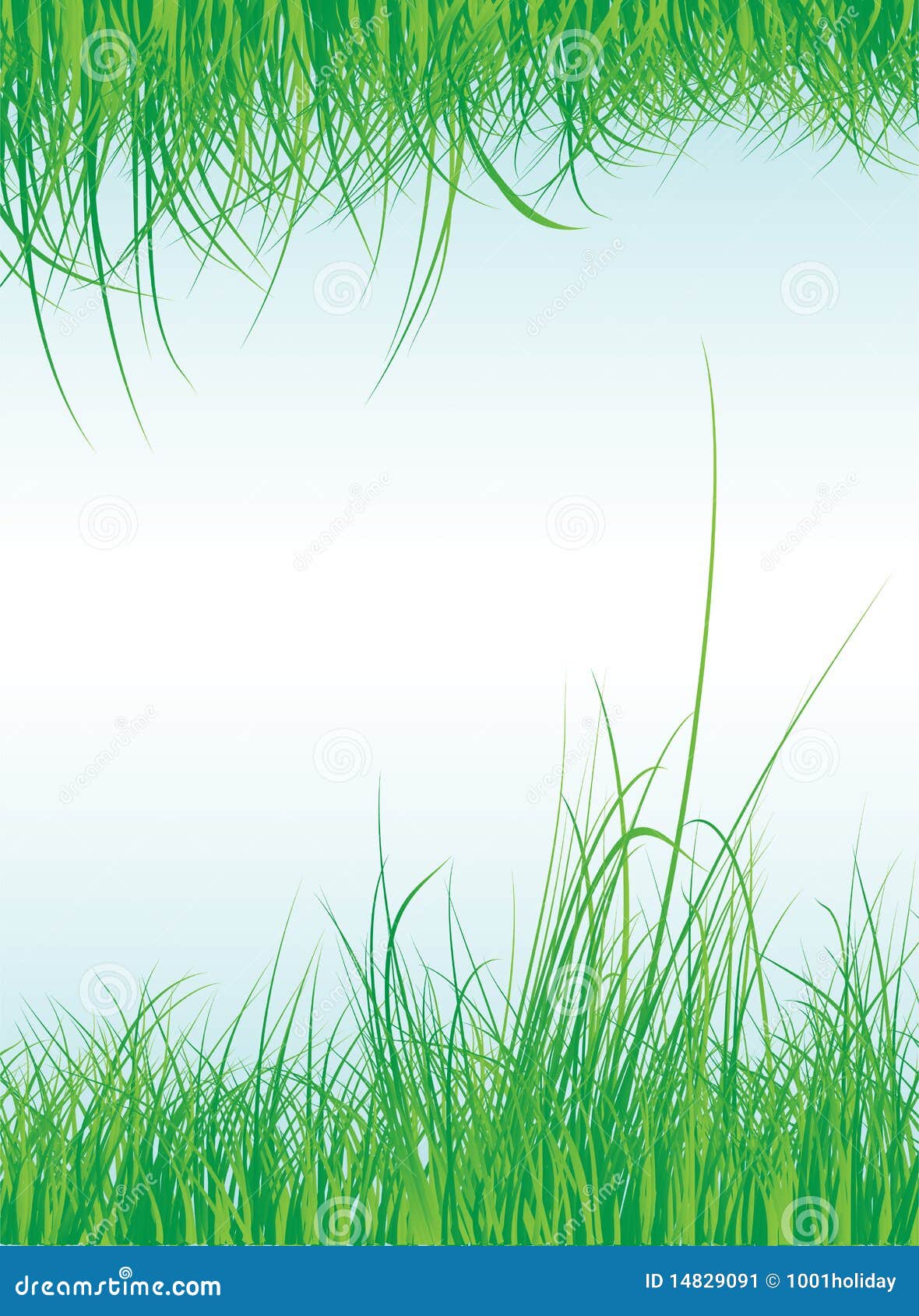 Grass frame stock vector. Illustration of front, copy - 14829091
