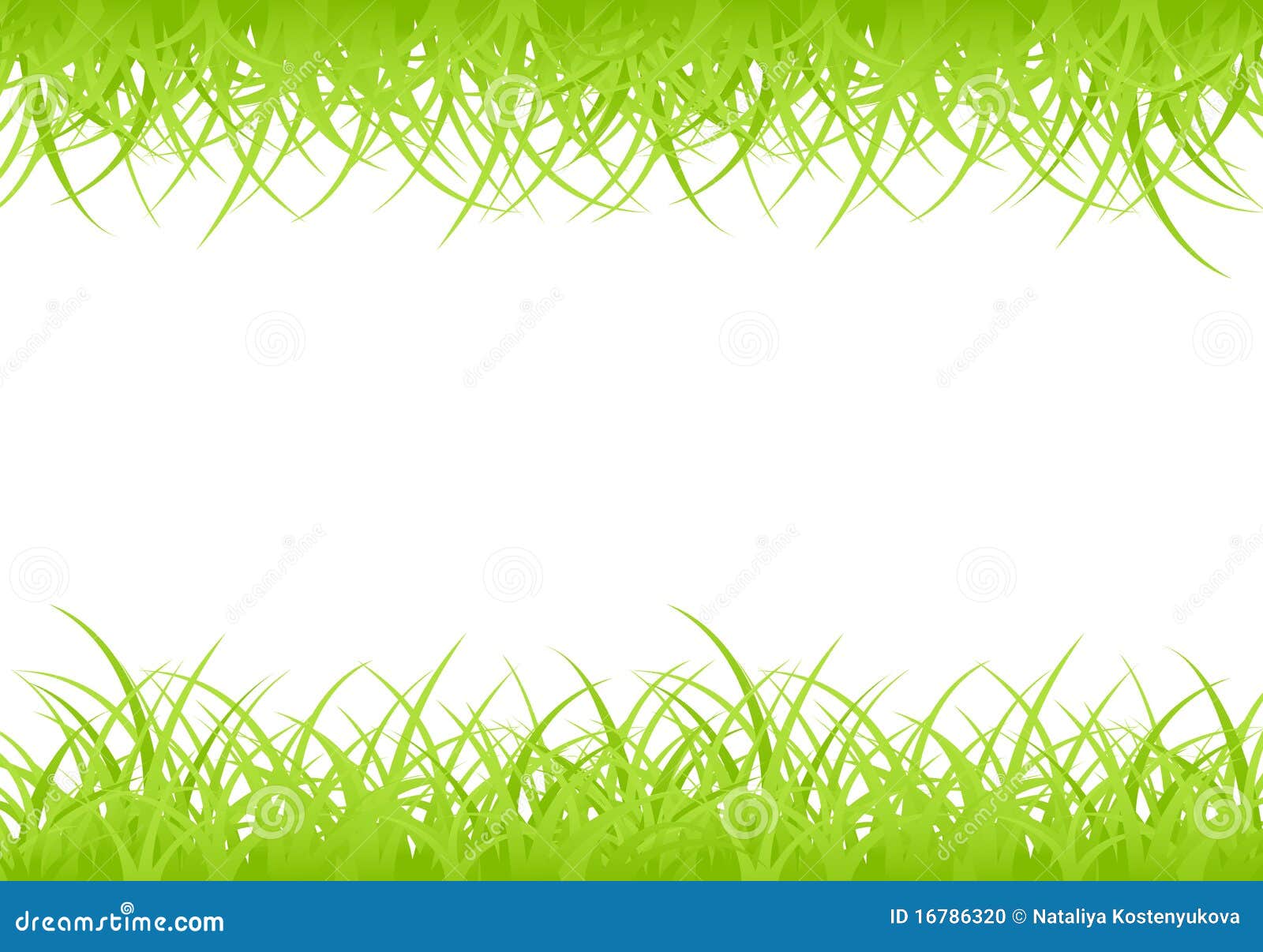 Grass frame stock vector. Illustration of isolated, foreground - 16786320