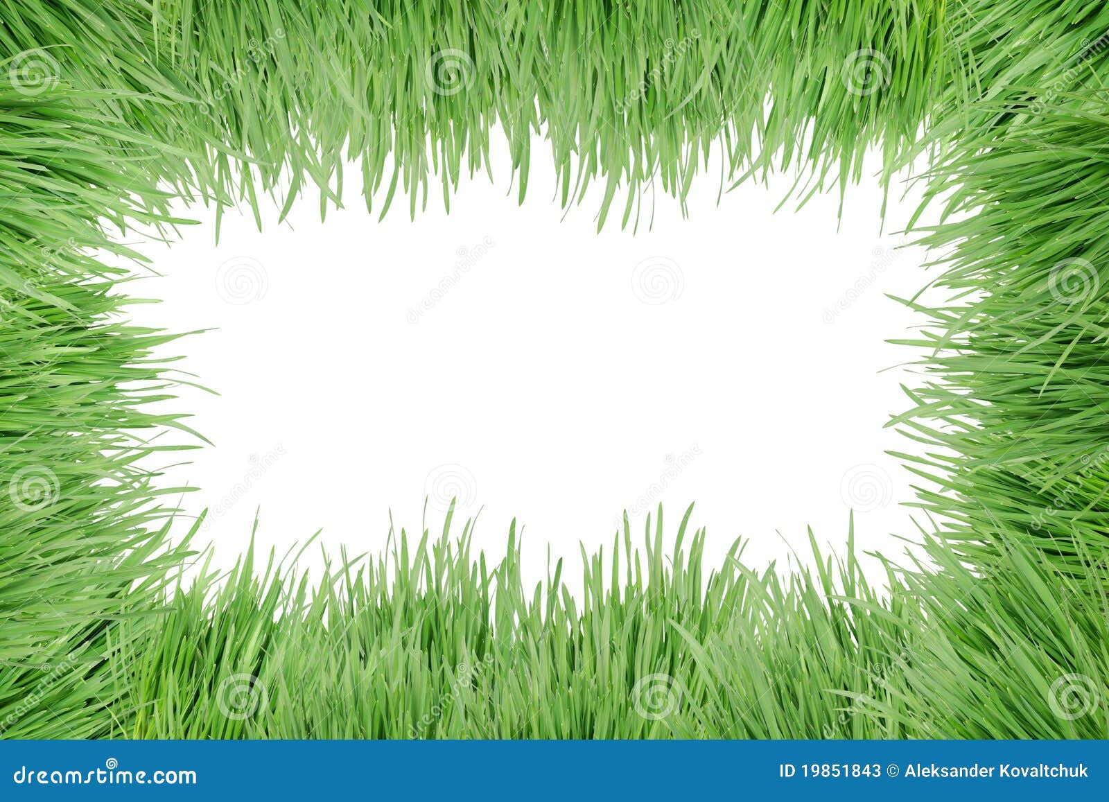 Grass Frame stock image. Image of isolated, plant, closeup - 19851843