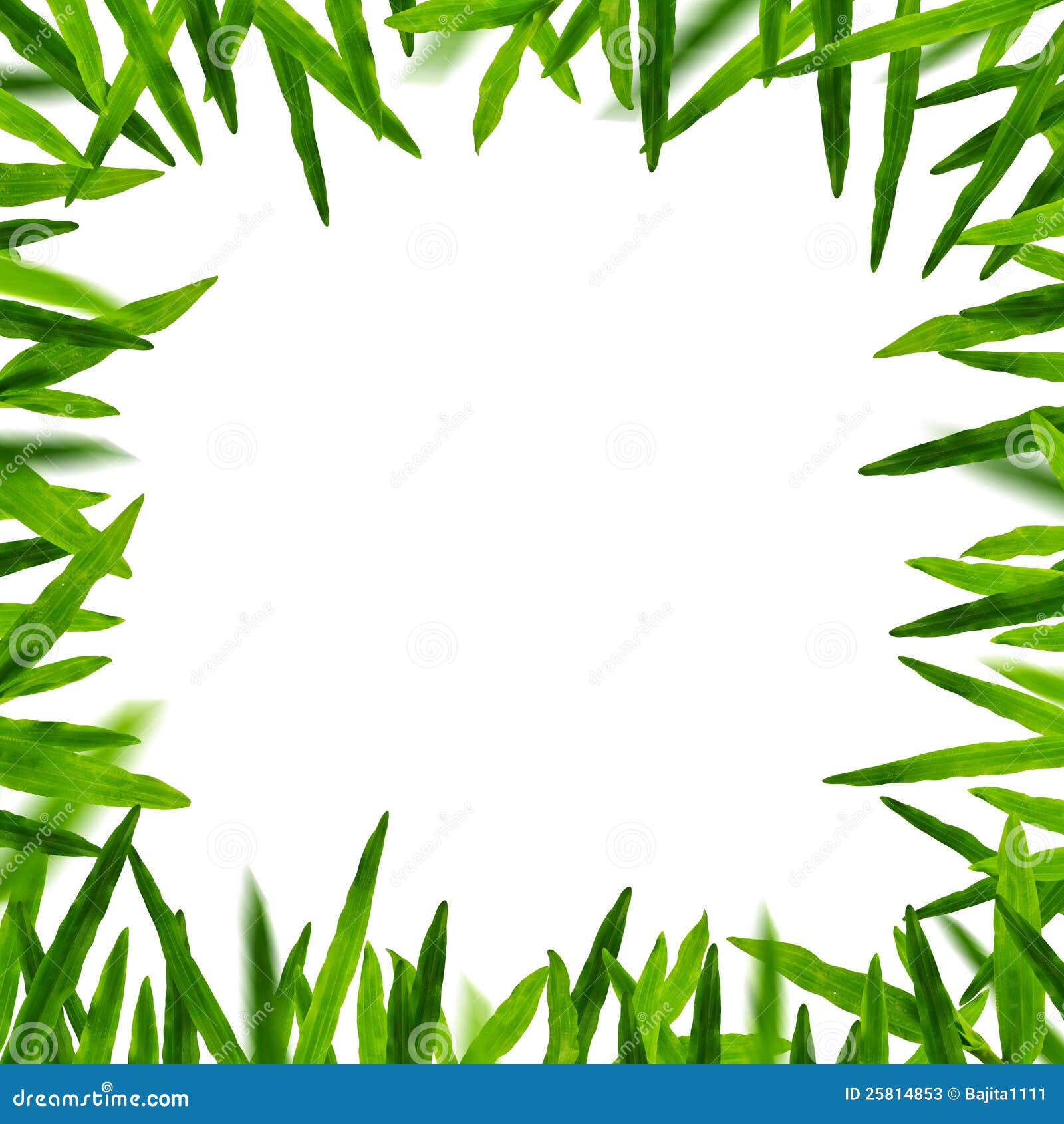 Grass frame stock image. Image of green, color, design - 25814853