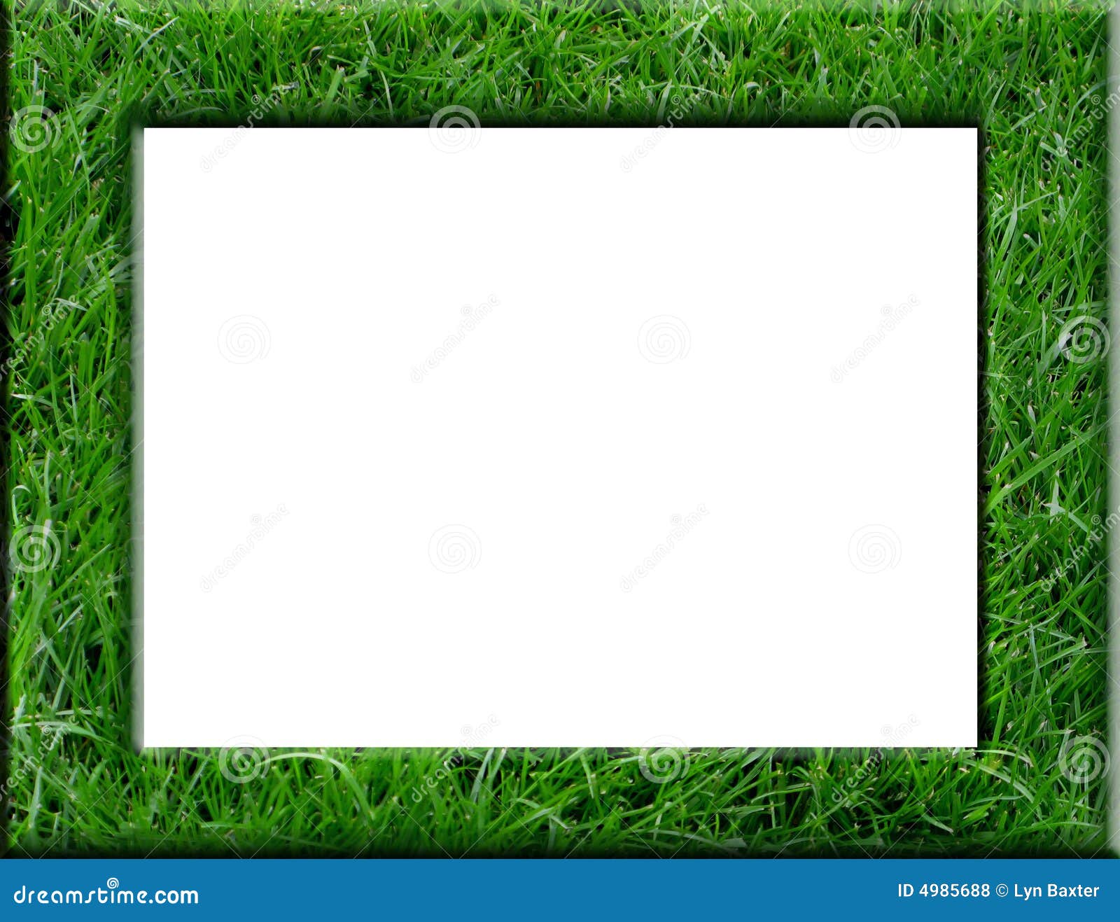 Grass frame stock illustration. Illustration of growth - 4985688