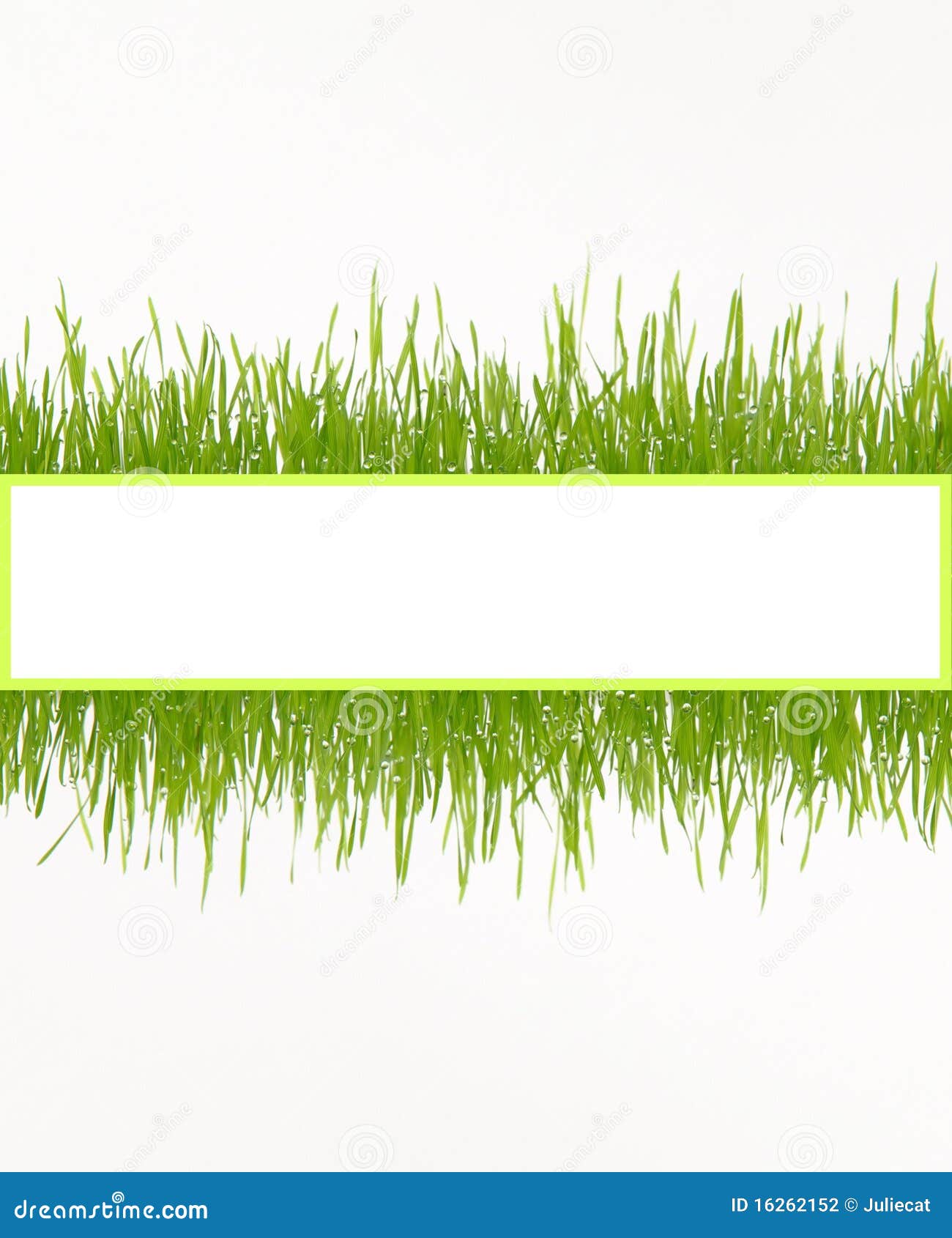 Grass frame background stock illustration. Illustration of style - 16262152