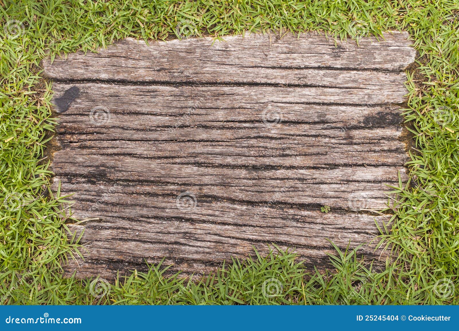 Grass frame border stock photo. Image of border, leaf - 25245404