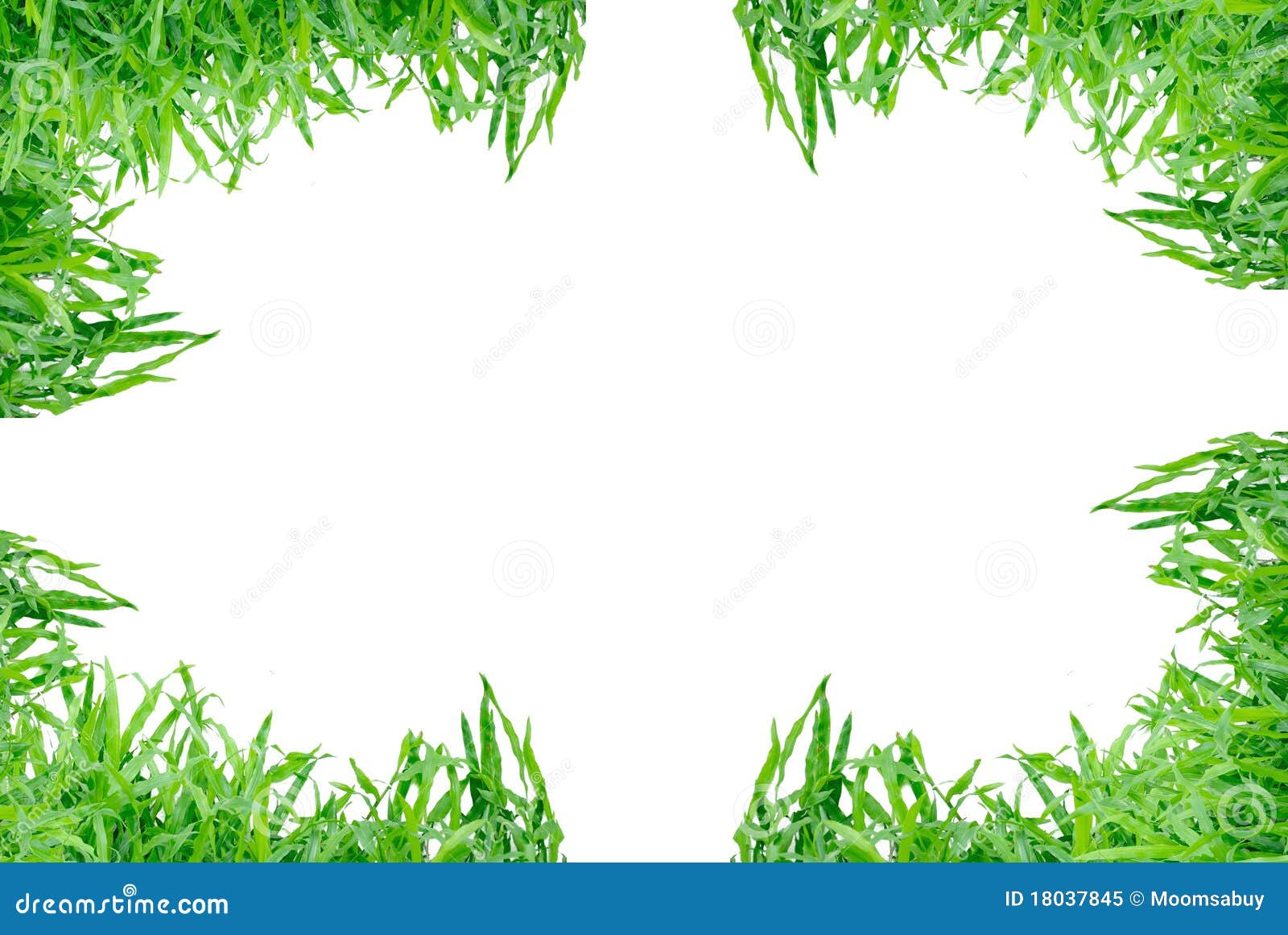 Grass frame isolated stock image. Image of isolated, beautiful - 18037845
