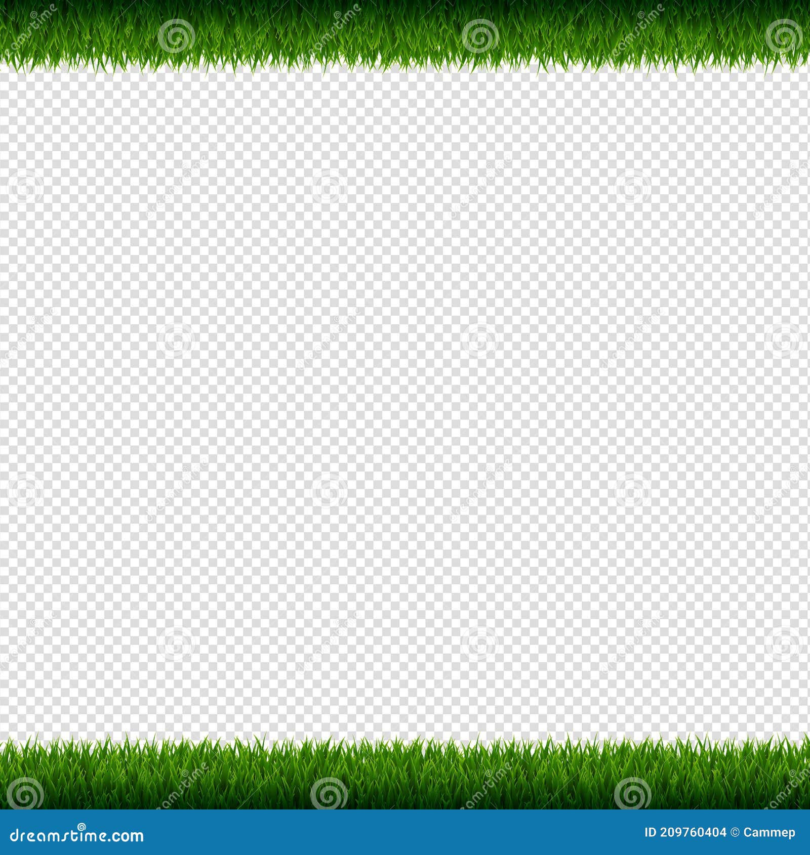 Grass Frame Isolated Transparent Background Stock Vector - Illustration ...