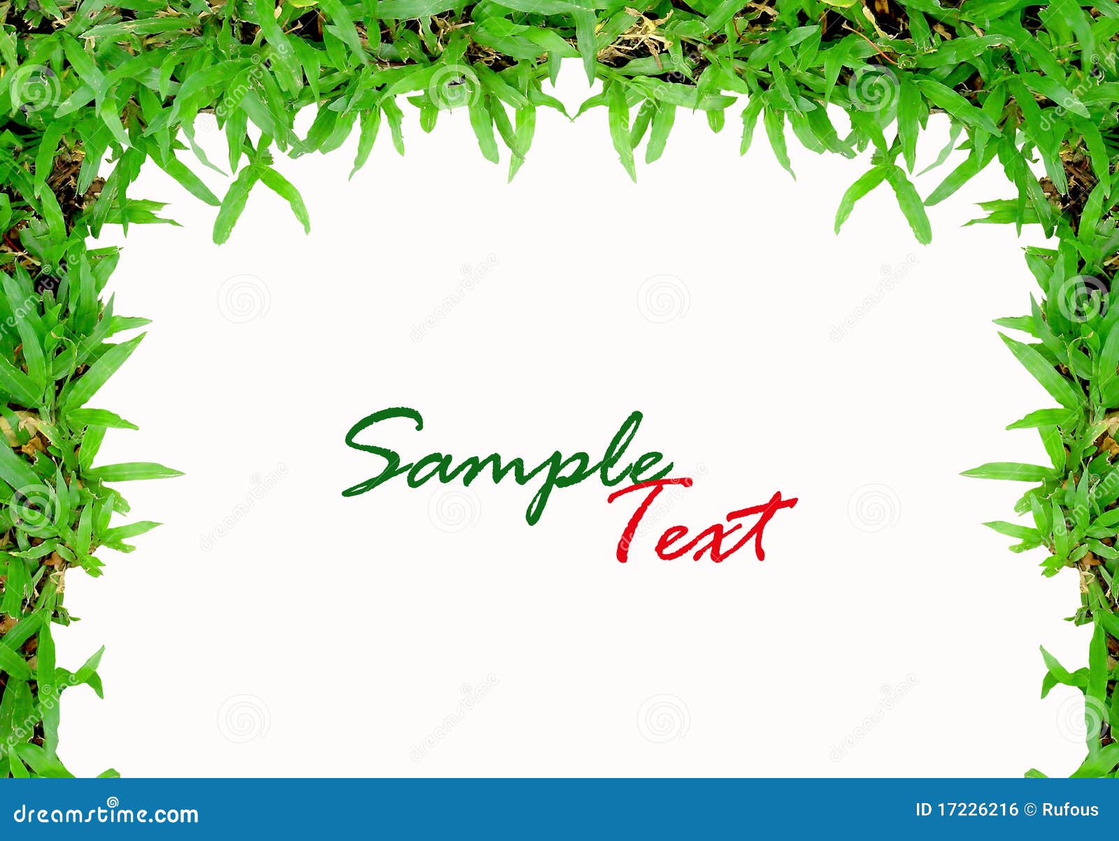 Grass Frame on White Background Stock Photo - Image of layout ...