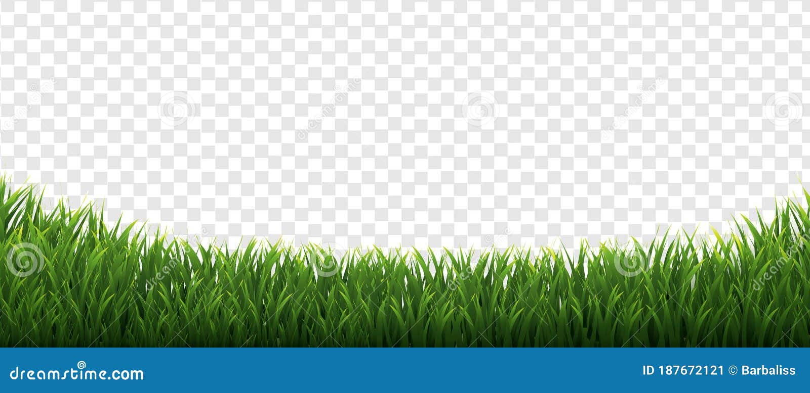 Grass Frames Set in Isolated Transparent Background Stock Vector ...