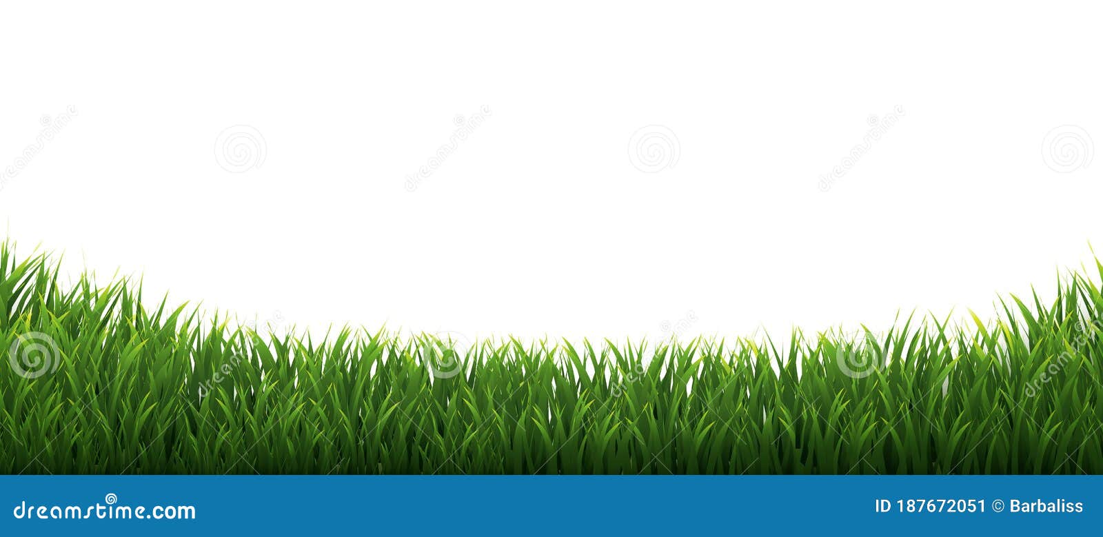 Grass Frames Set In Isolated Transparent Background Cartoon Vector ...