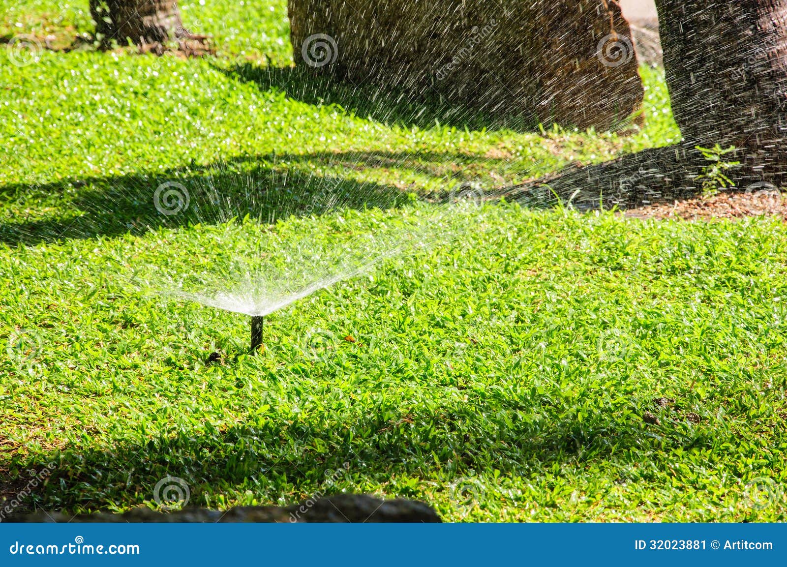 Grass garden spring water stock image. Image of landscape - 32023881