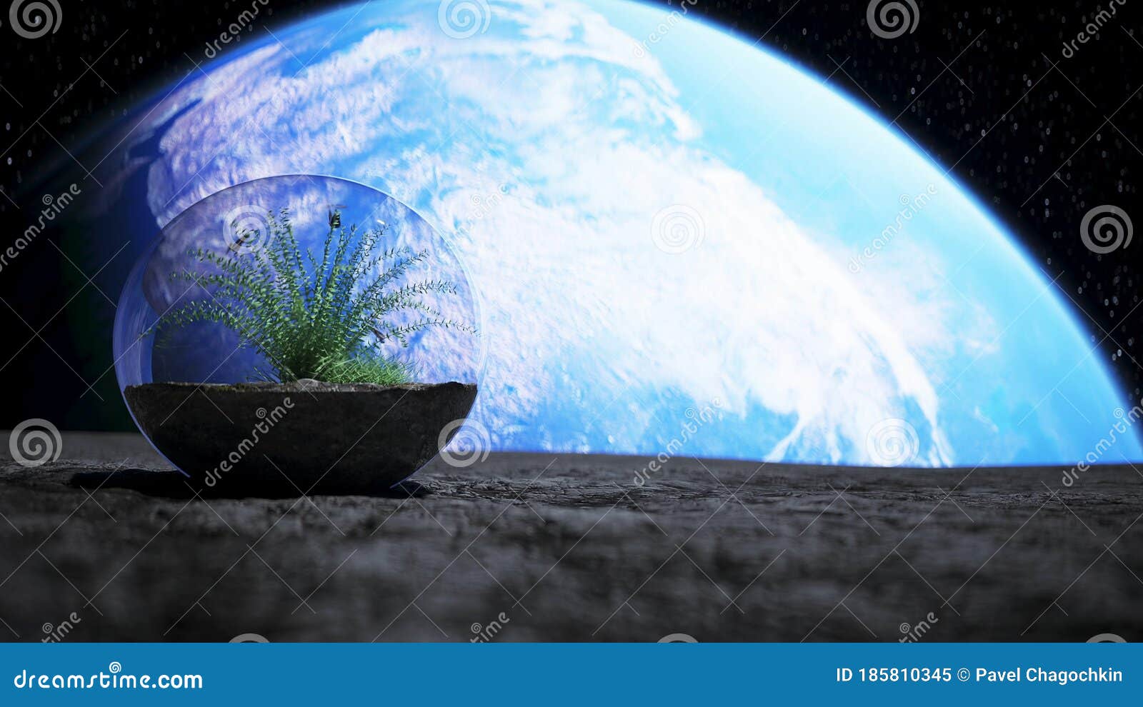 Grass in Glass Sphere in Outer Space. Ecology Concept. 3d Rendering ...