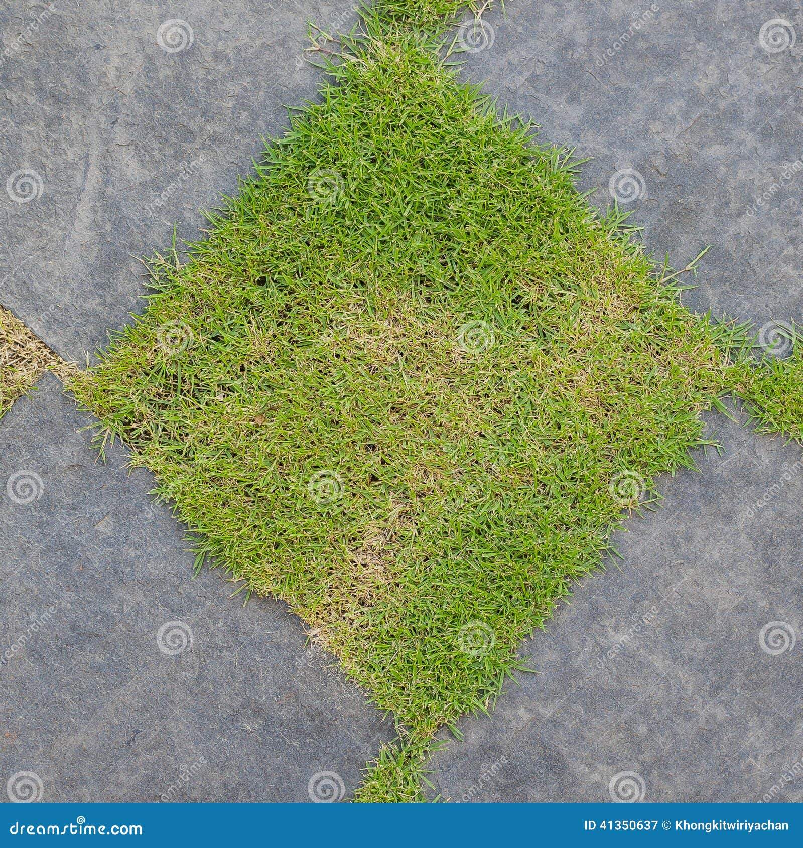 Grass and gravel texture stock image. Image of material - 41350637