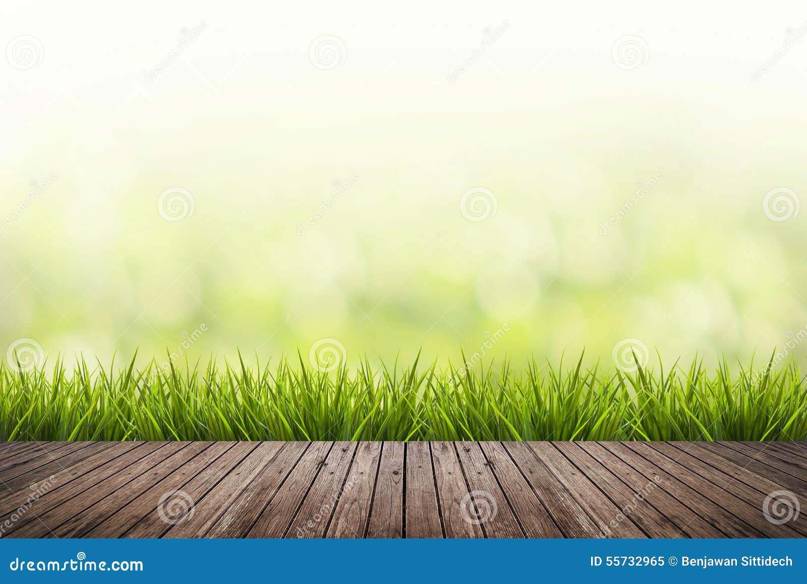 7,711 Green Grass Texture Wood Floor Stock Photos - Free & Royalty-Free ...