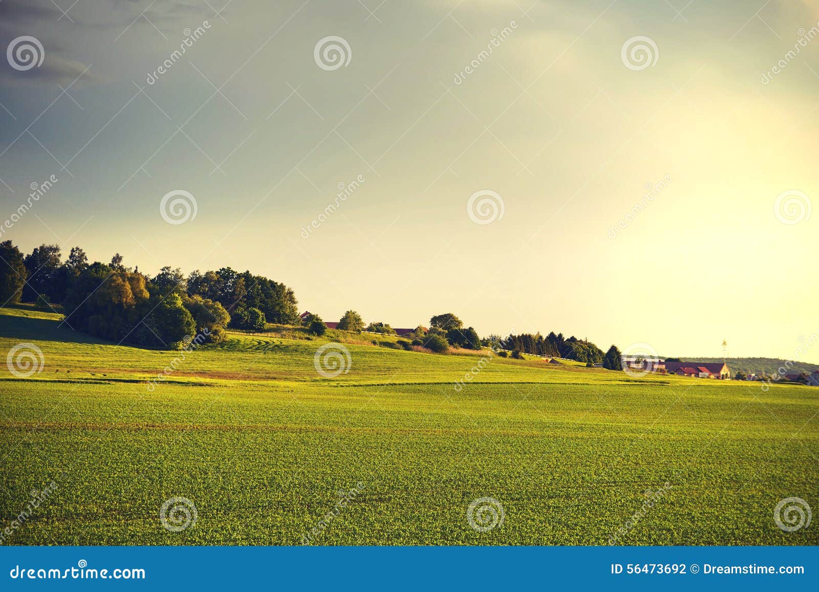 Grass Green Field with Village Stock Photo - Image of dawn, meadow ...