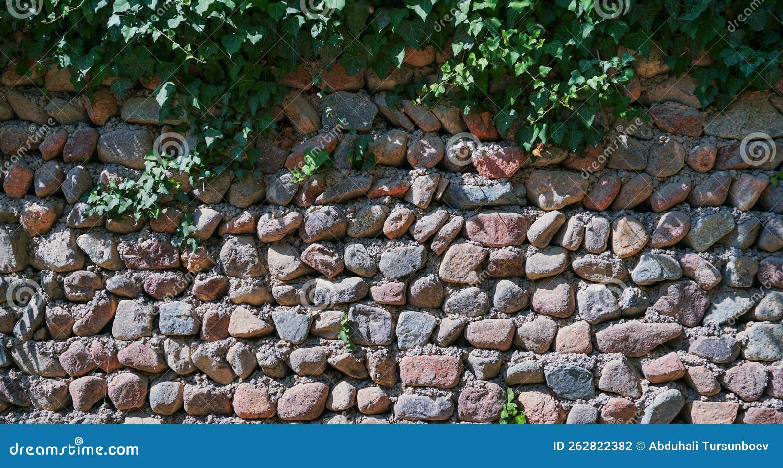 Grass Grew between the Stones of the Stone Wall Stock Photo - Image of ...