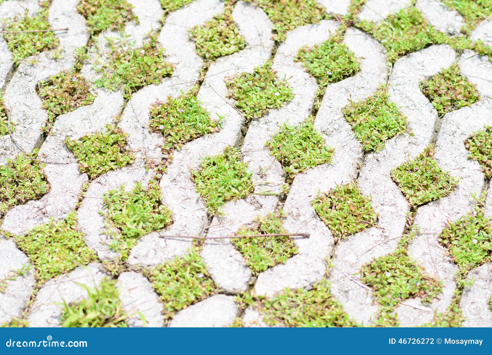 Grass Grow Up between Block Floor Stock Photo - Image of block, ground ...