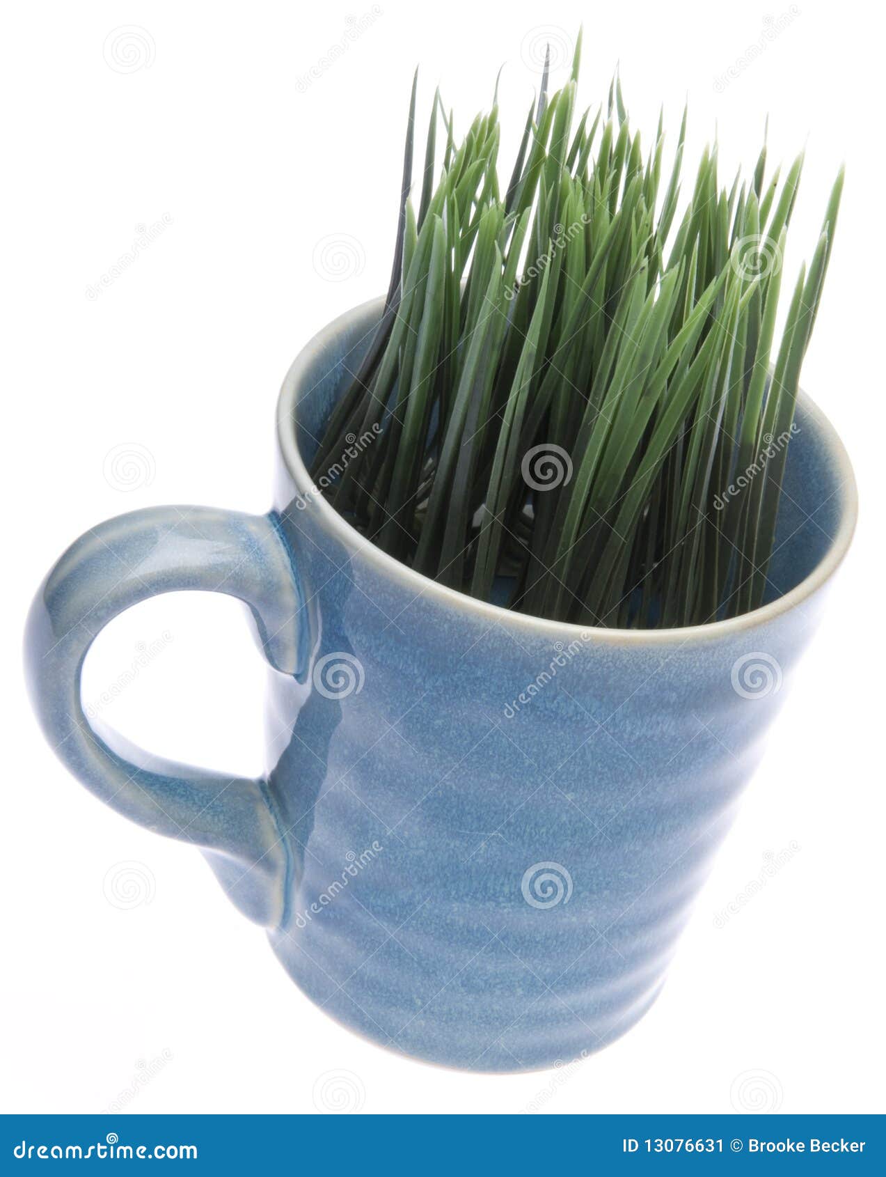 Grass Growing from Coffee Mug Stock Image - Image of space, religion ...