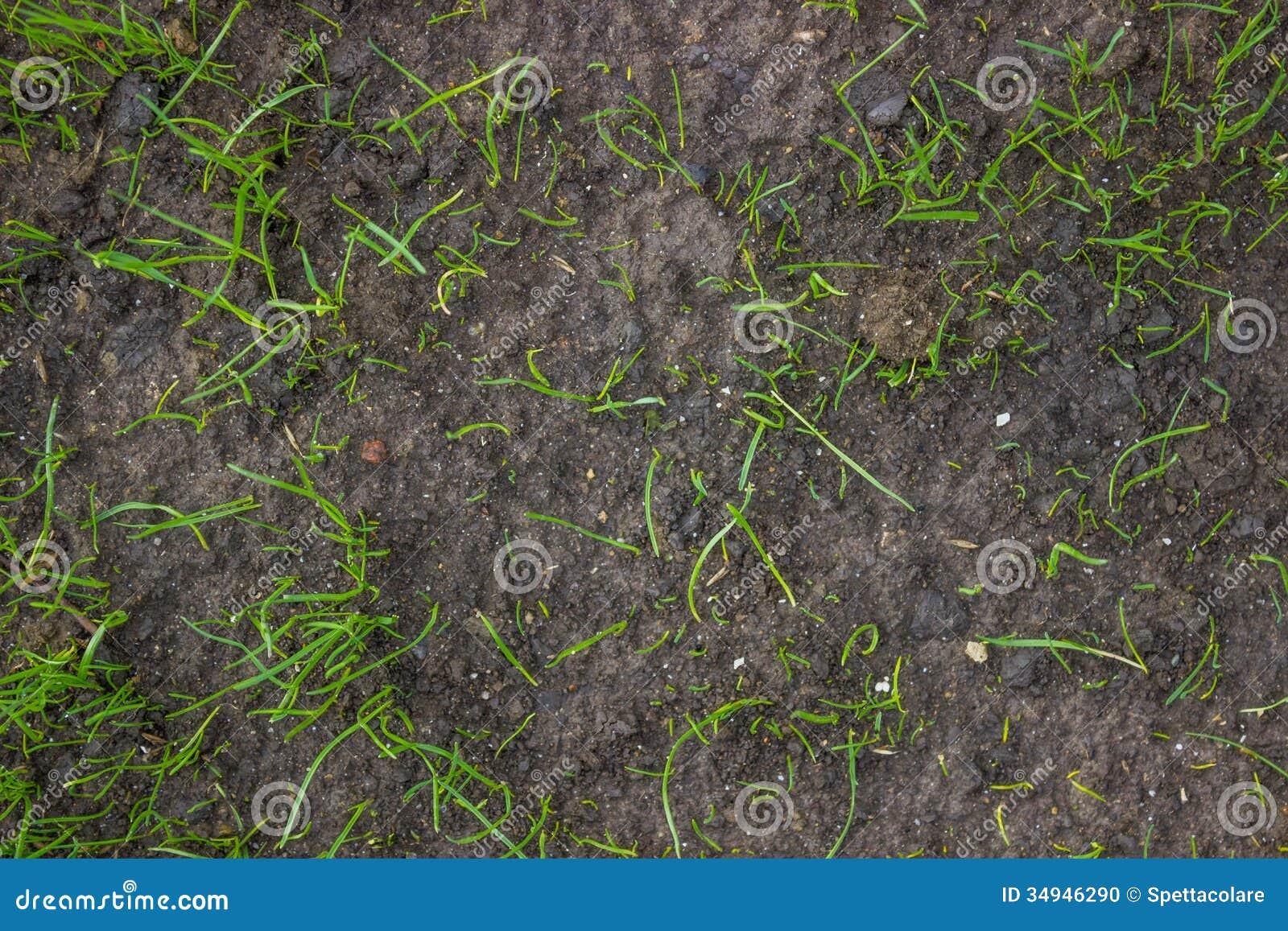 Cross Section Dirt Background 2 Photos - Free & Royalty-Free Stock ...