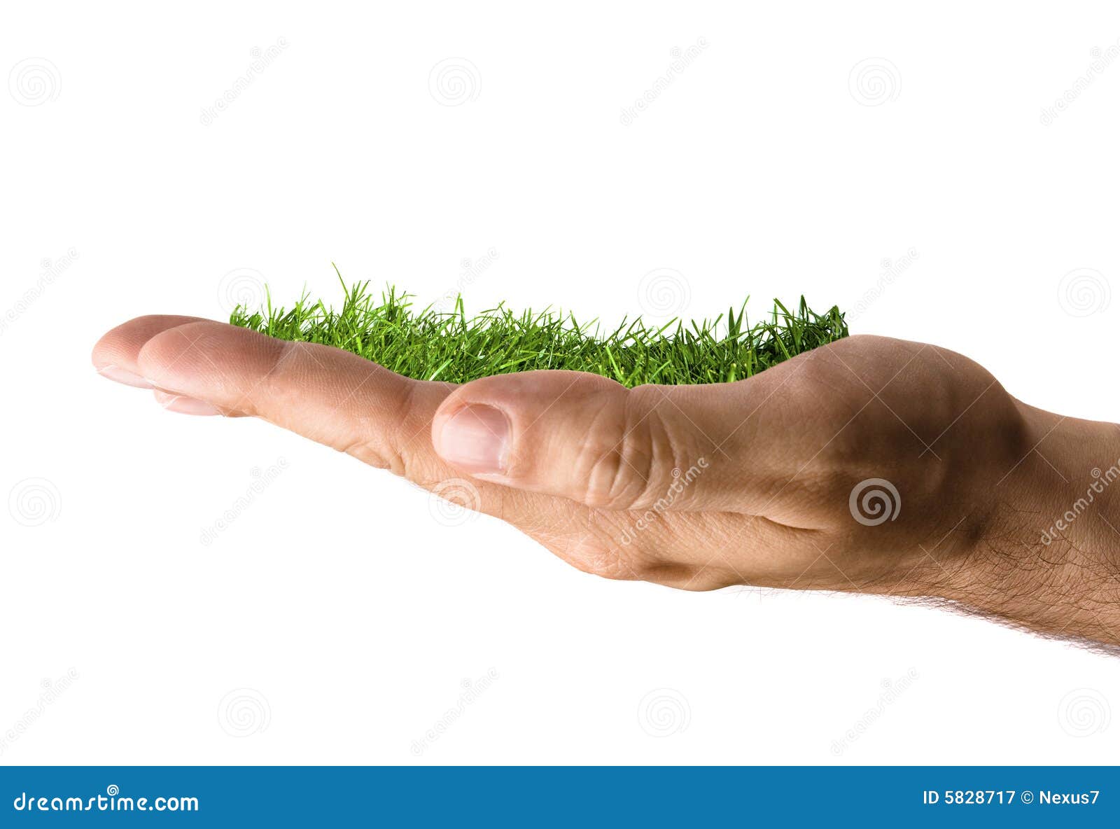 Grass Growing in Hand stock image. Image of environmental - 5828717
