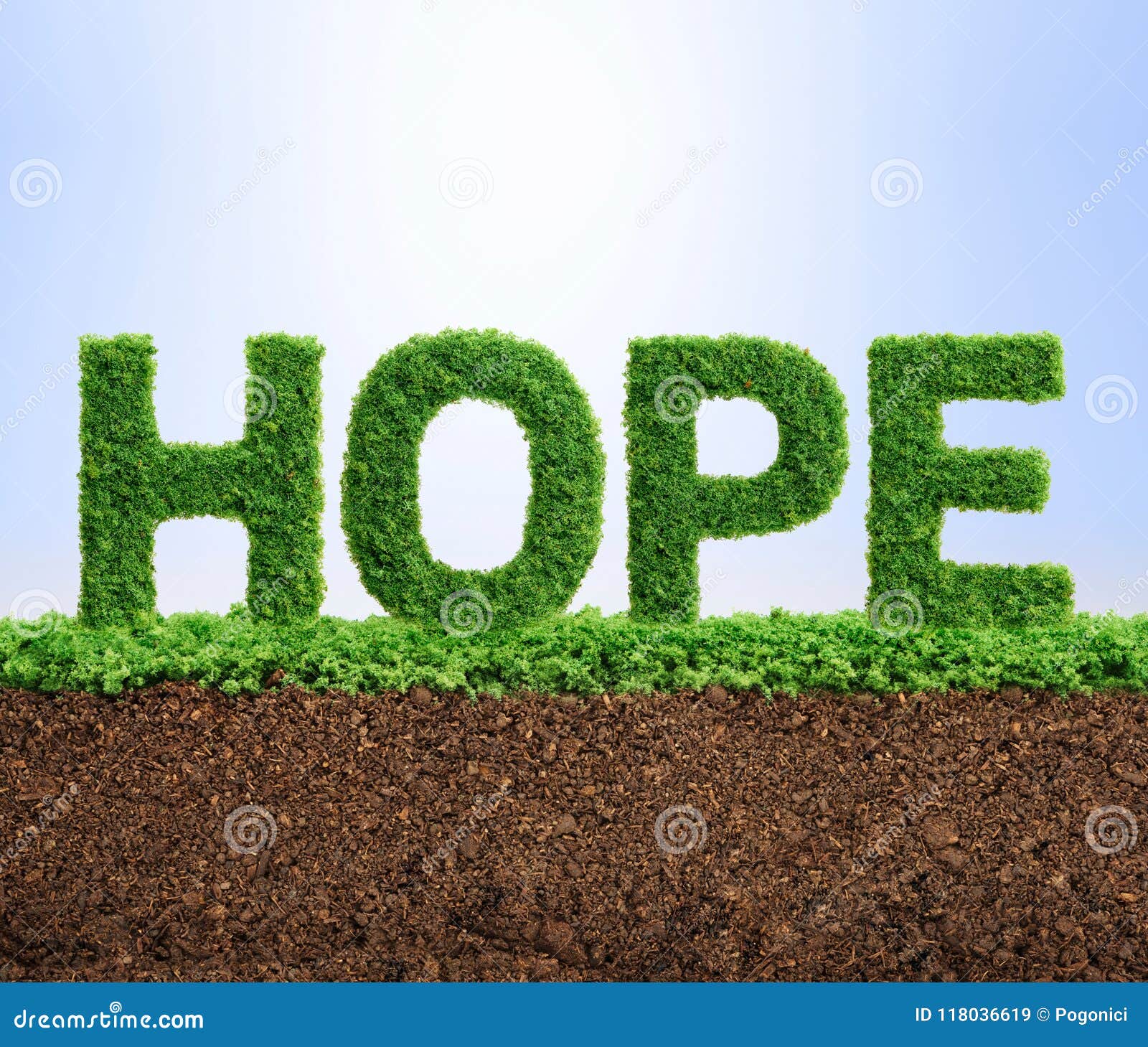 Grass growth hope concept stock image. Image of concern - 118036619
