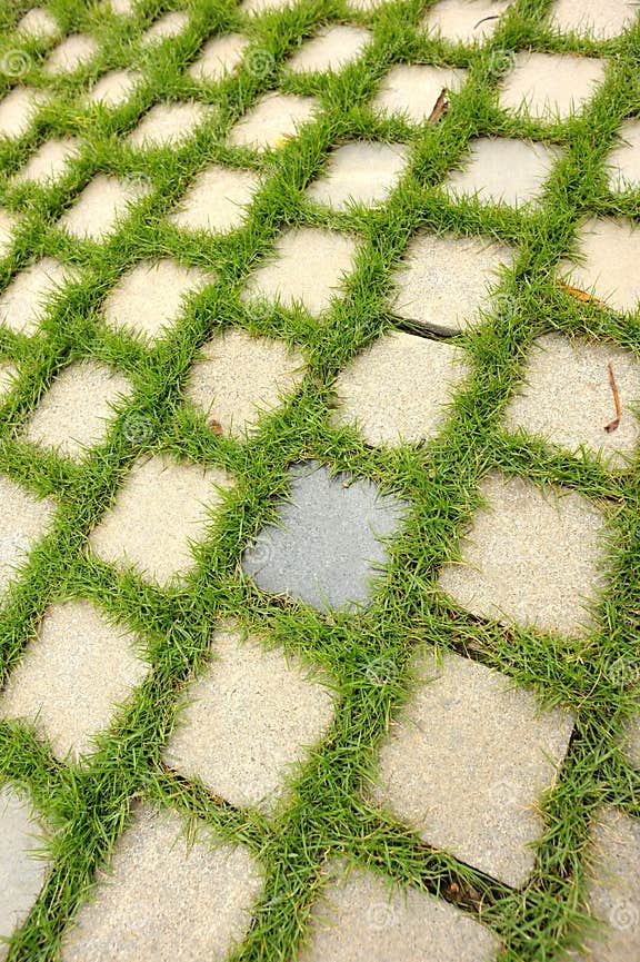 Grass Growing at Stone Path Stock Image - Image of garden, lane: 24528253
