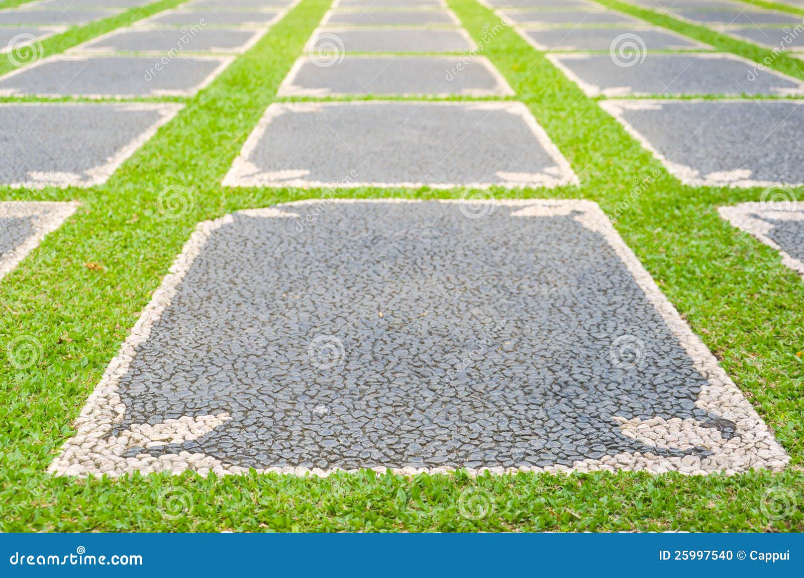 Grass Growing Up between the Stones Stock Photo - Image of lead, ground ...