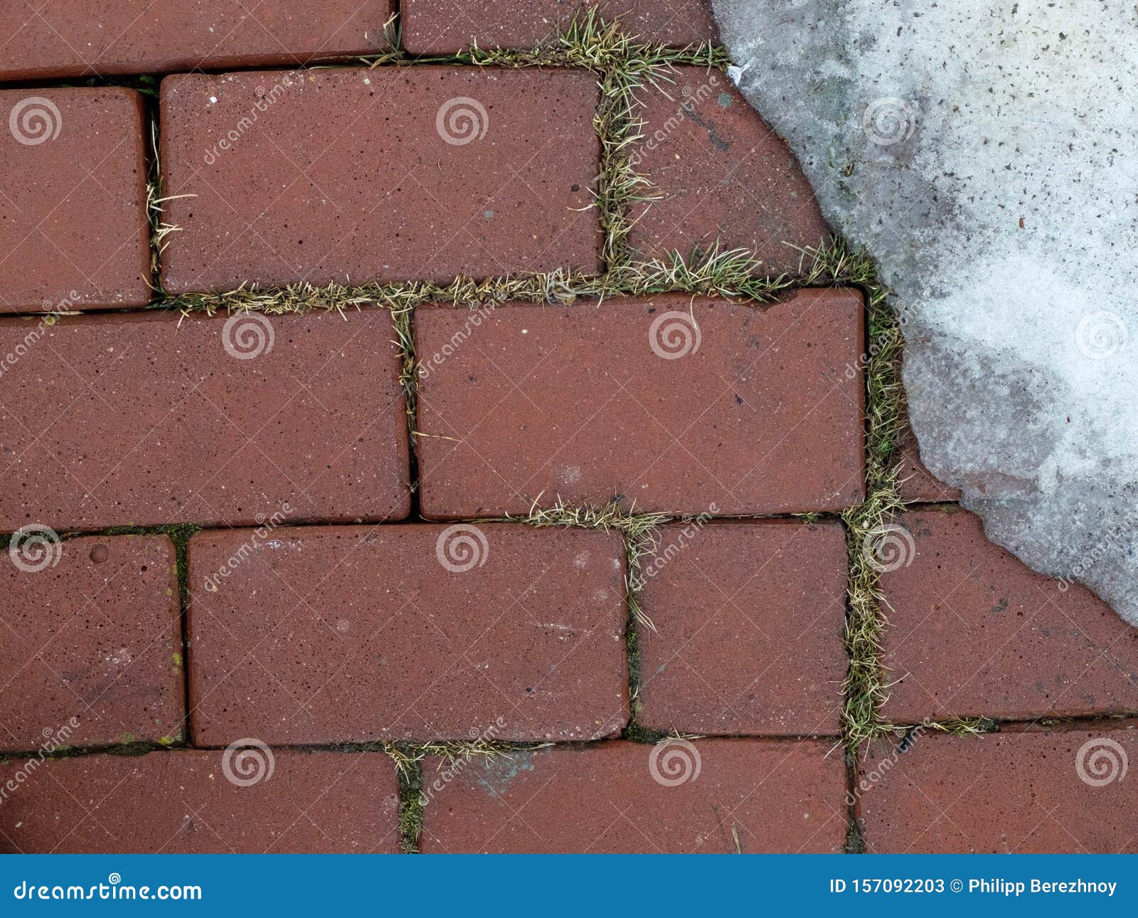 Grass Grows through Pavement of the Sidewalk Stock Image - Image of ...