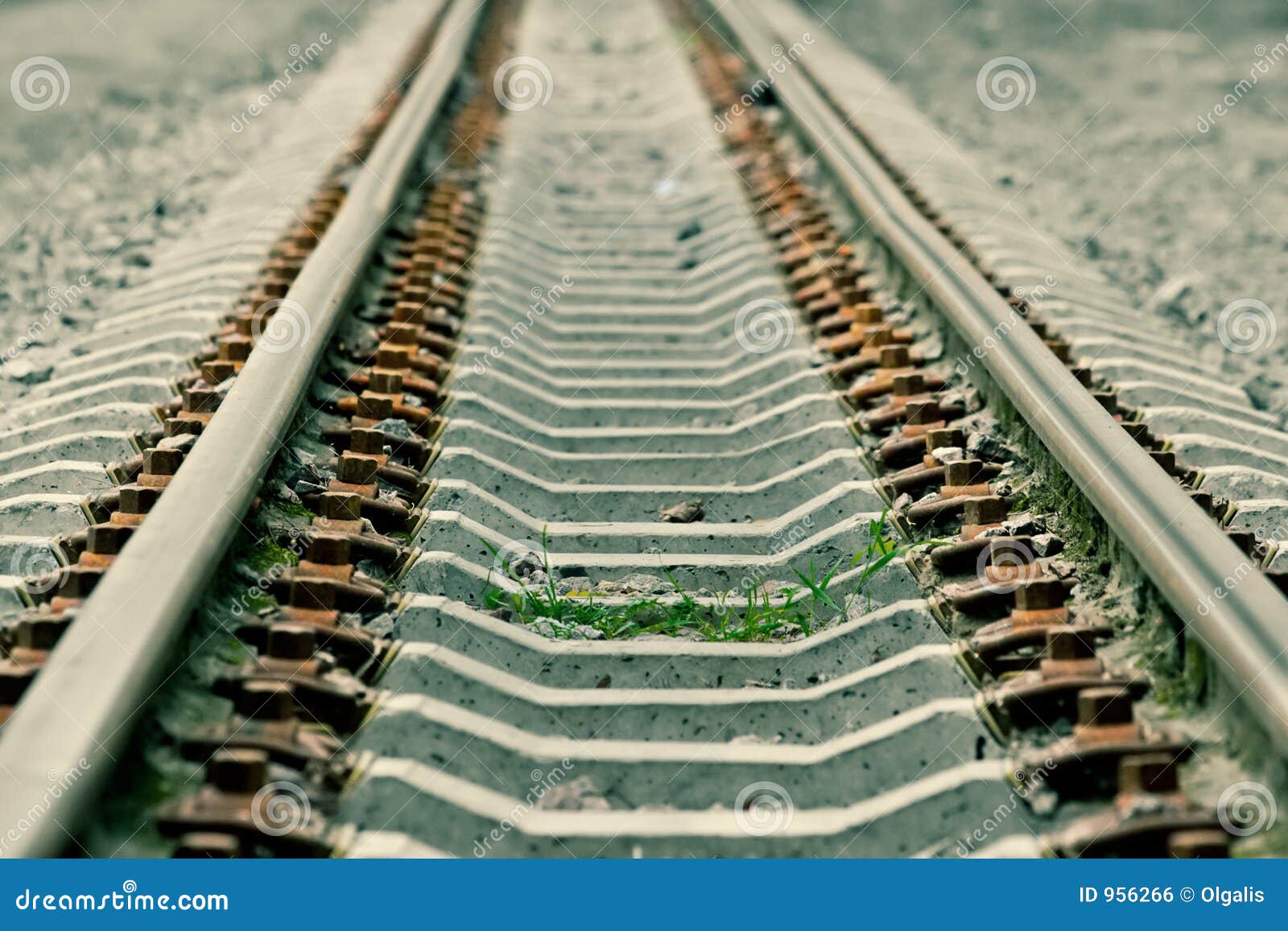Grass Grows on Rails- Green Toned Version Stock Photo - Image of metal ...