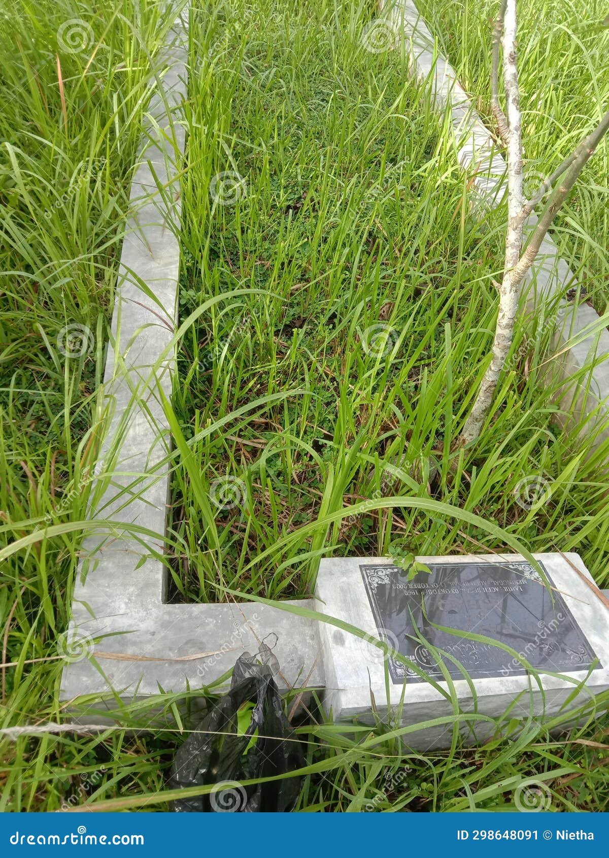 Grass Grows Thickly in the Grave Editorial Photo - Image of leave ...