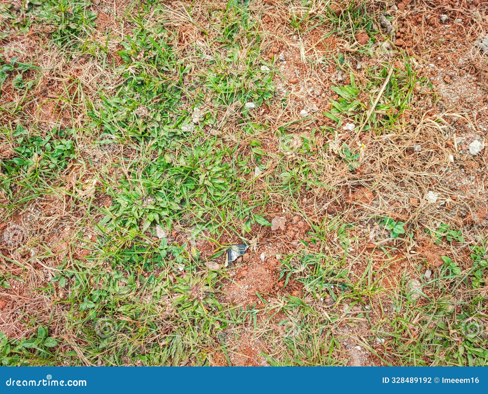Grass that Has Started To Dry and Empty until You Can See the Ground ...