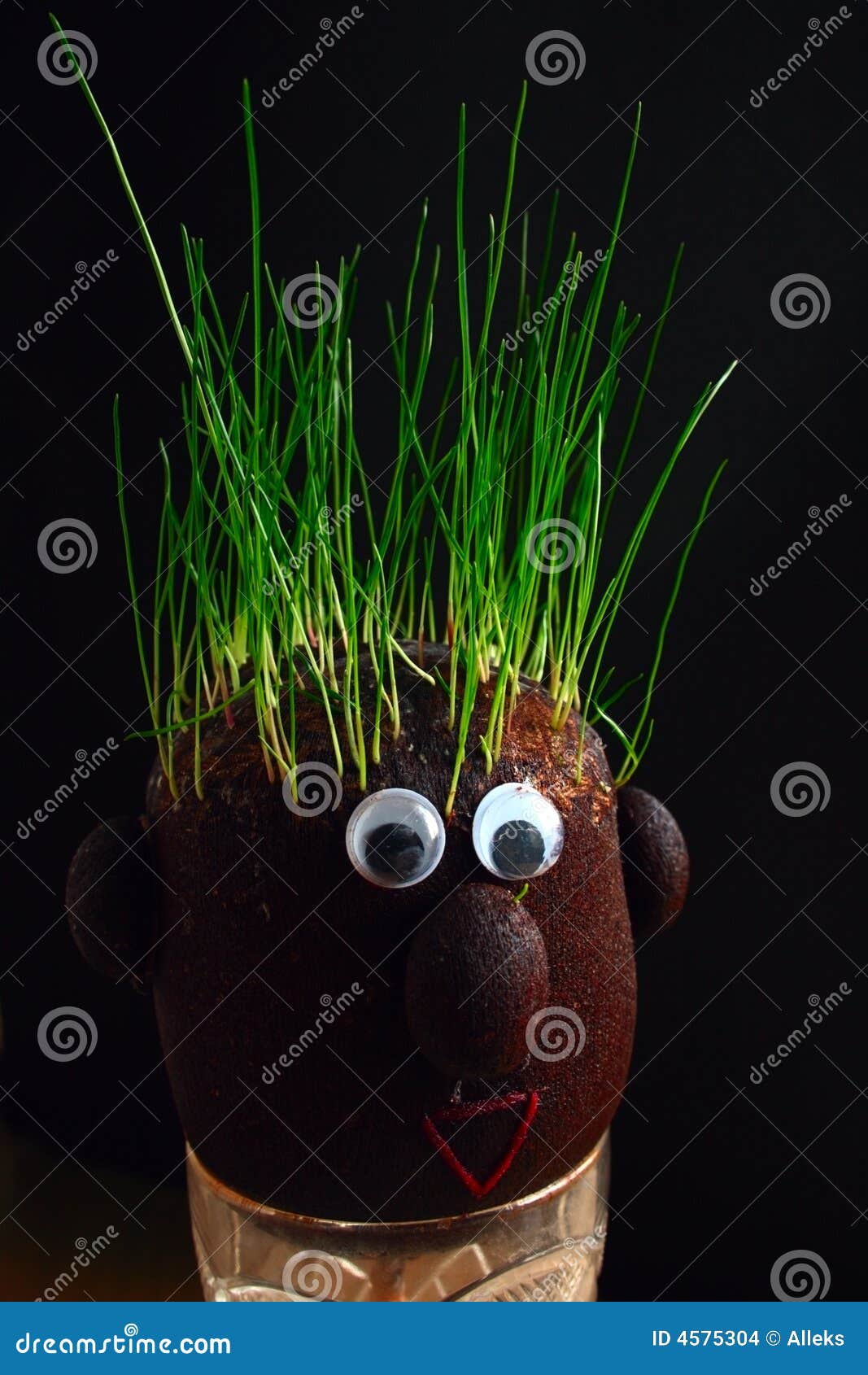 Grass on the head stock photo. Image of gardening, face - 4575304