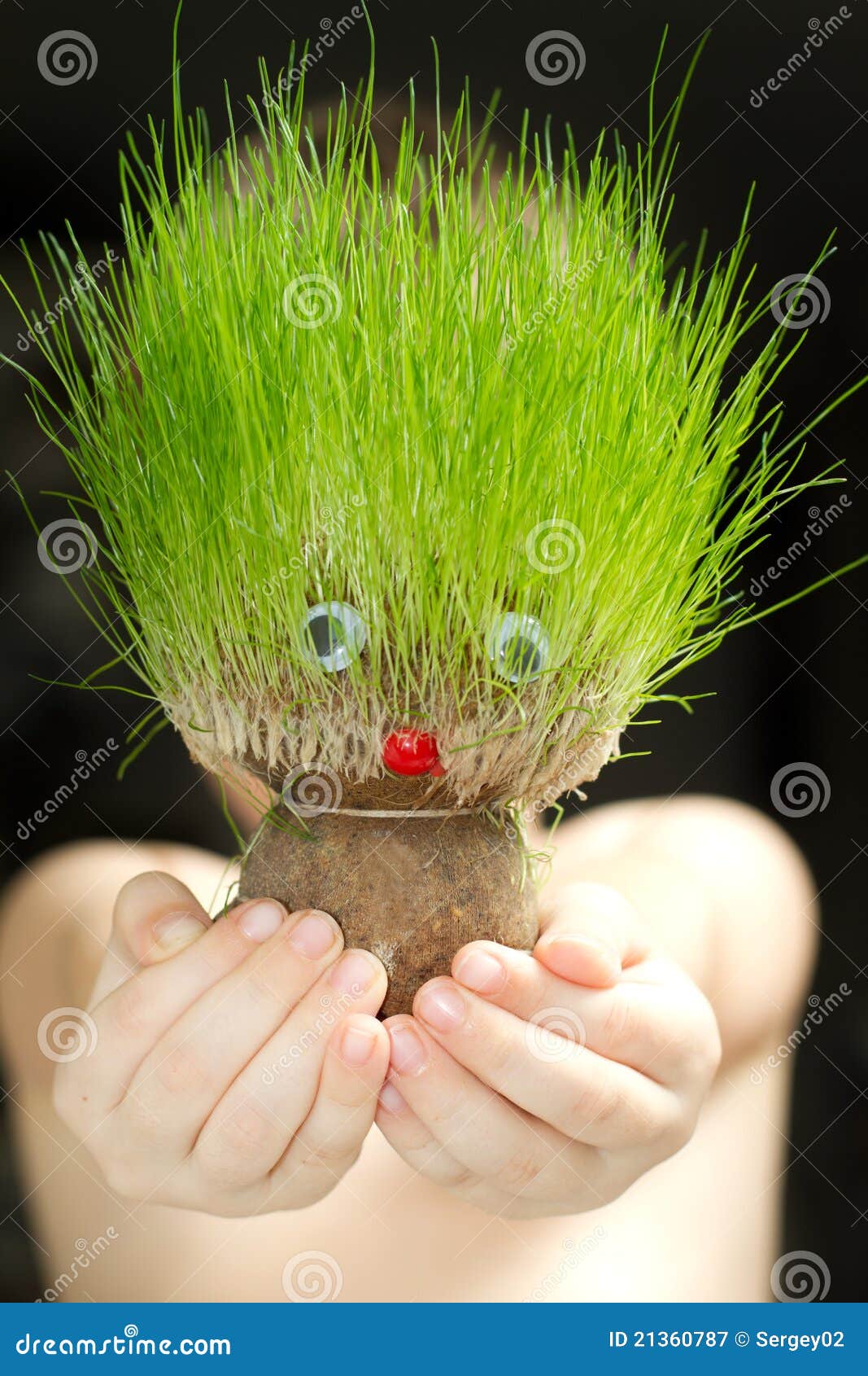Grass head toy stock image. Image of idea, conservation - 21360787