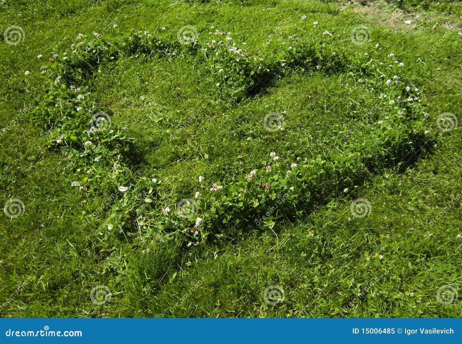 Grass heart stock image. Image of cute, heart, nice, summer - 15006485