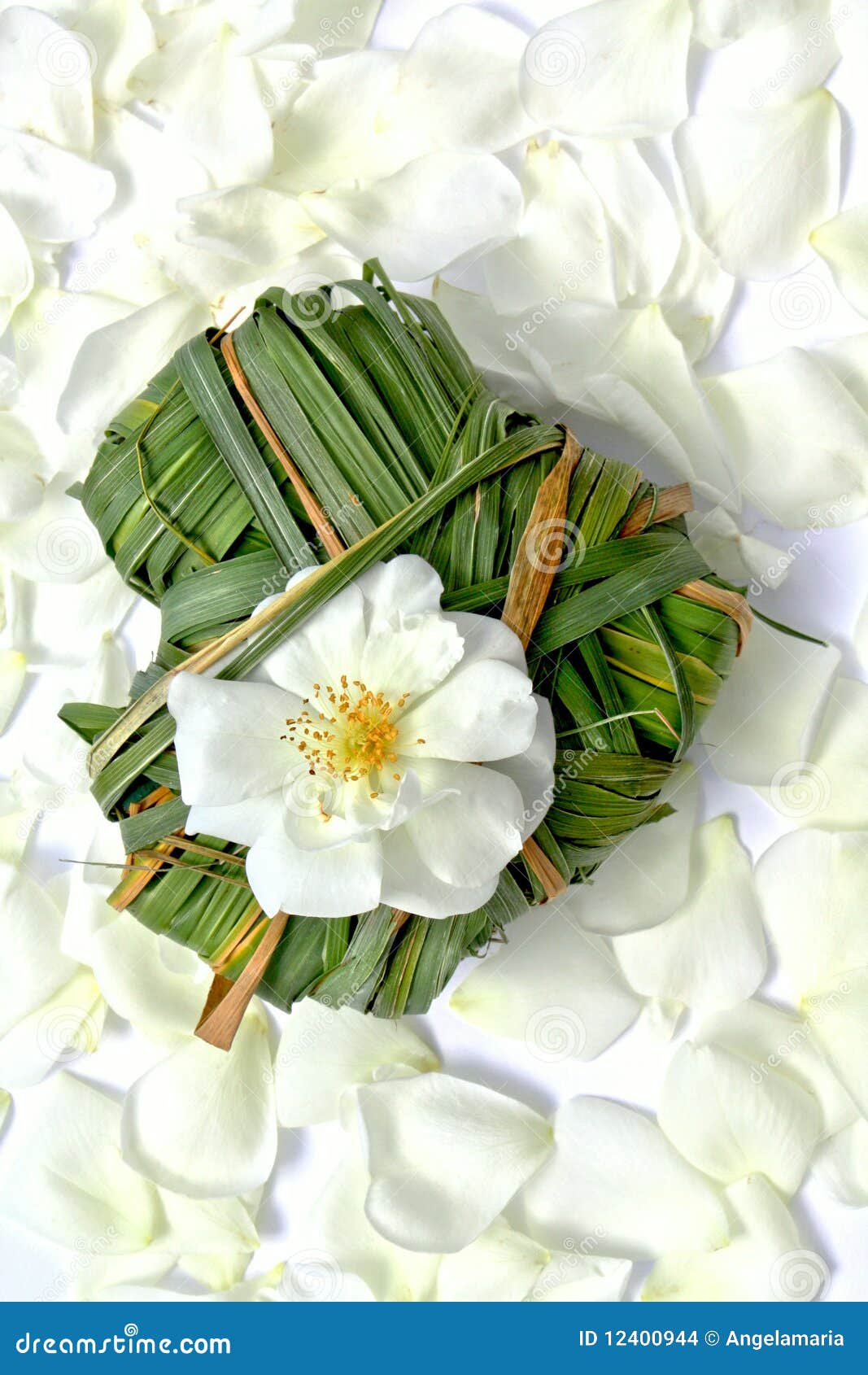 Grass heart and flowers stock photo. Image of ecology - 12400944