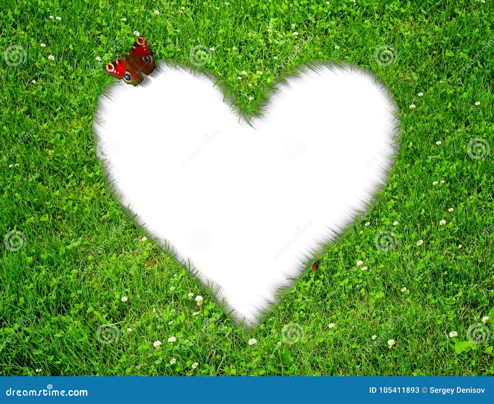 Grass with a heart stock image. Image of valentine, grass - 105411893