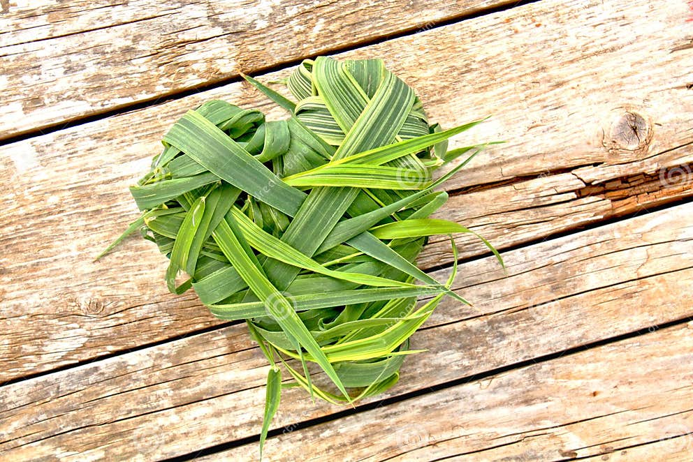 Grass heart on wood stock image. Image of grass, heart - 12374855