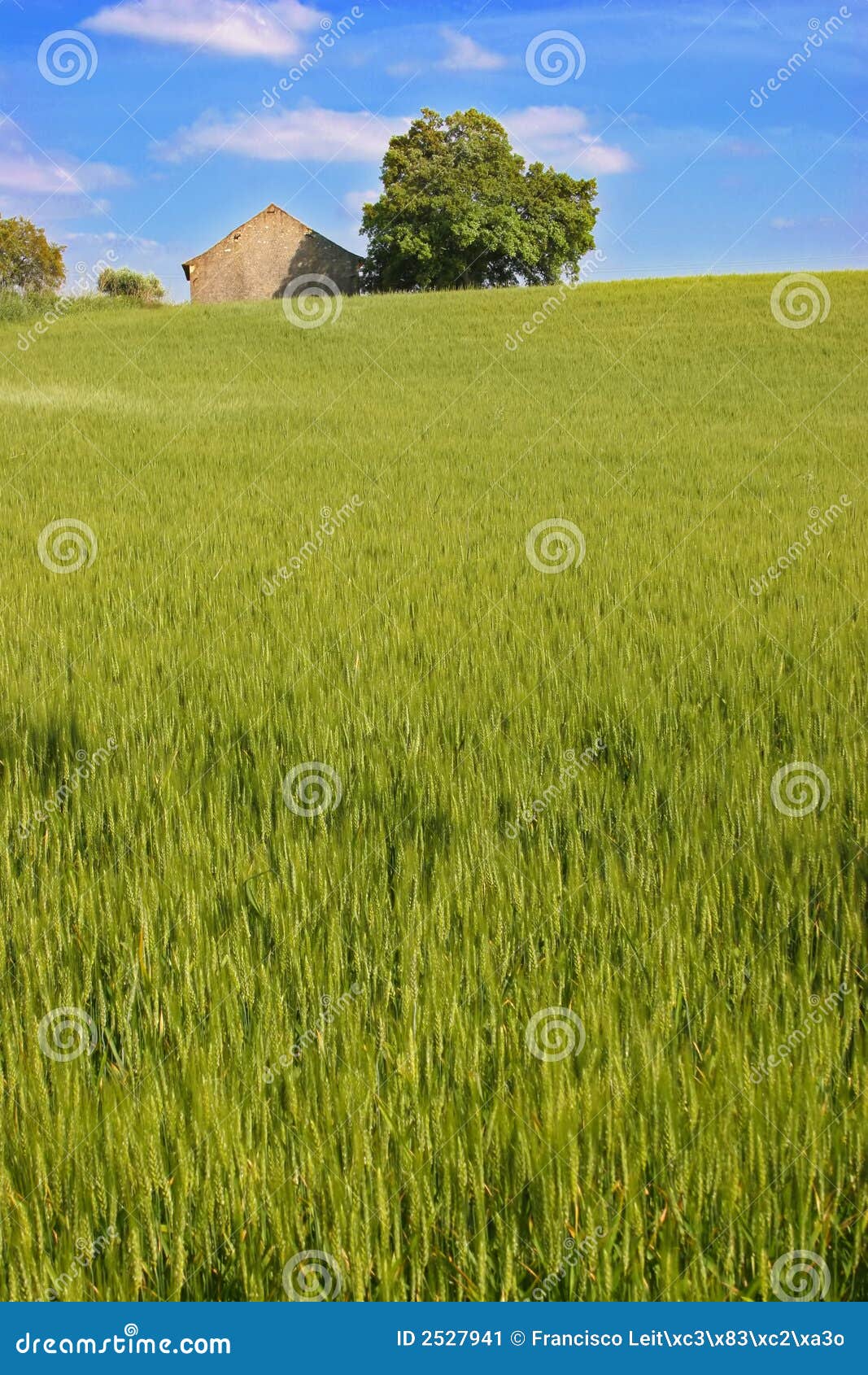 Grass hill stock image. Image of outside, nature, peaceful - 2527941