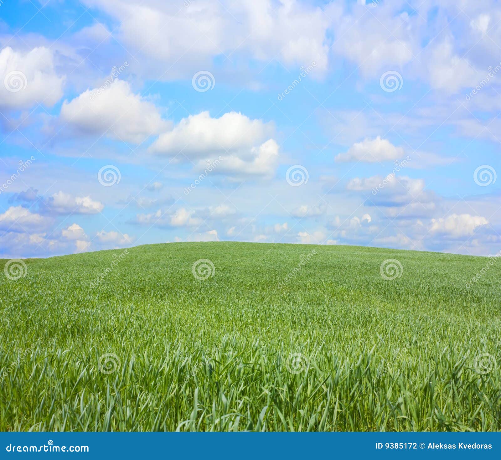 Grass on the hill stock photo. Image of area, nature, environment - 9385172