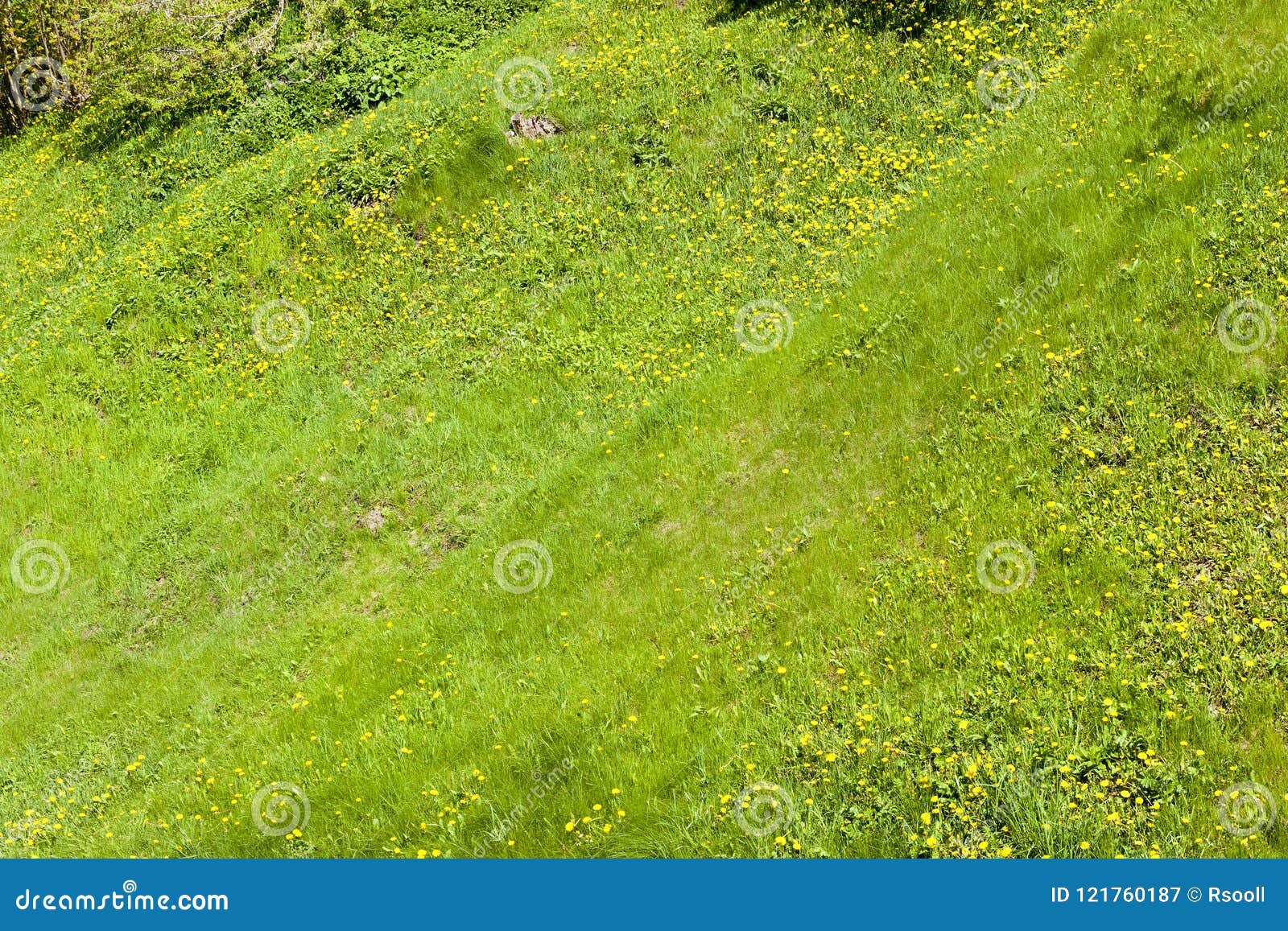 Grass hilly terrain stock image. Image of rural, backyard - 121760187