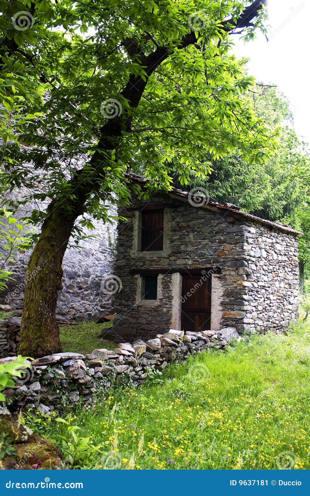 Grass hut with stock image. Image of scilet, cultivation - 9637181