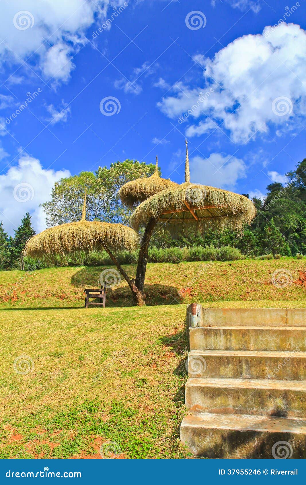 Grass hut stock photo. Image of nature, outdoor, mountain - 37955246