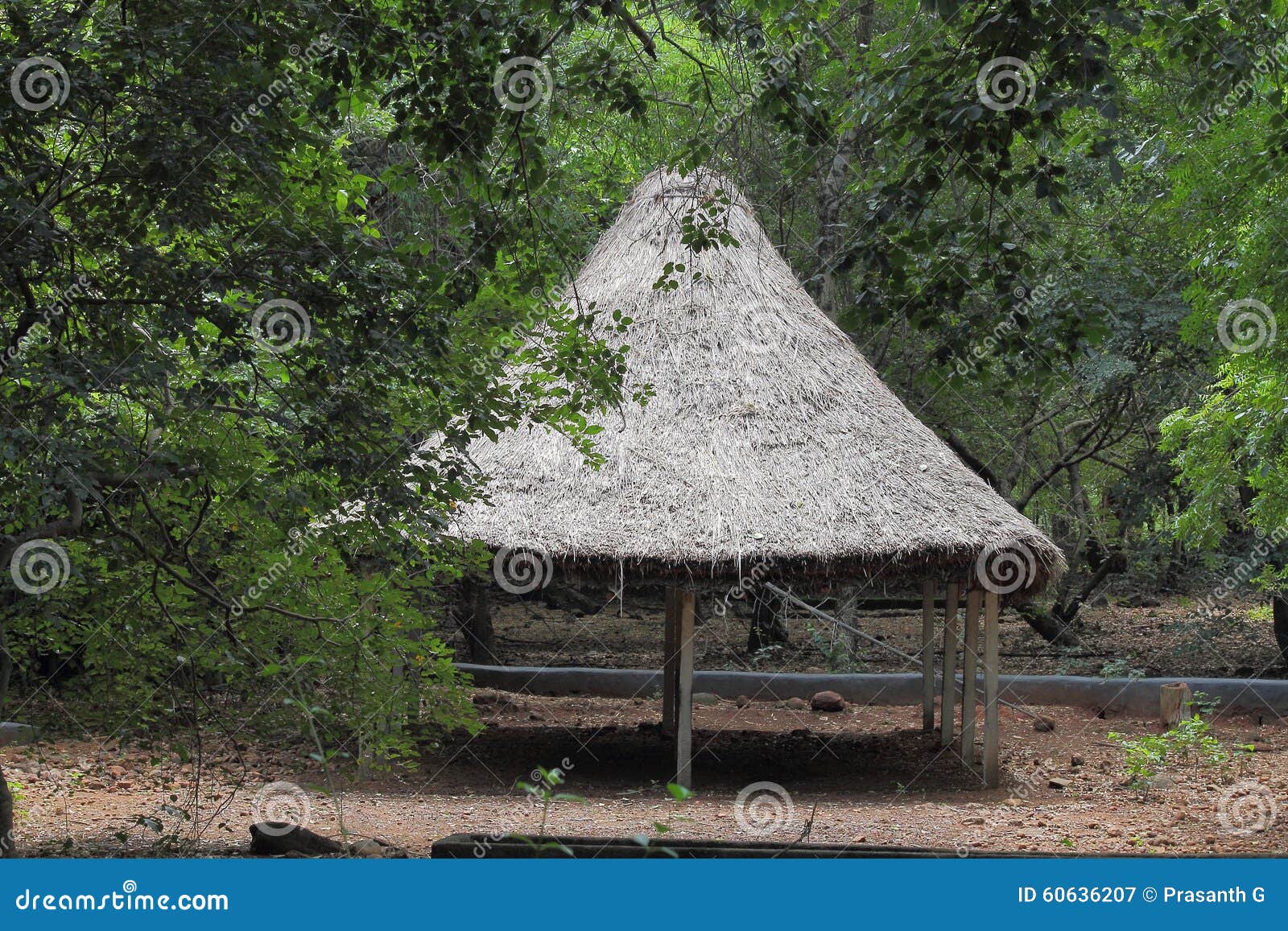 Grass hut in forest stock image. Image of home, natural - 60636207