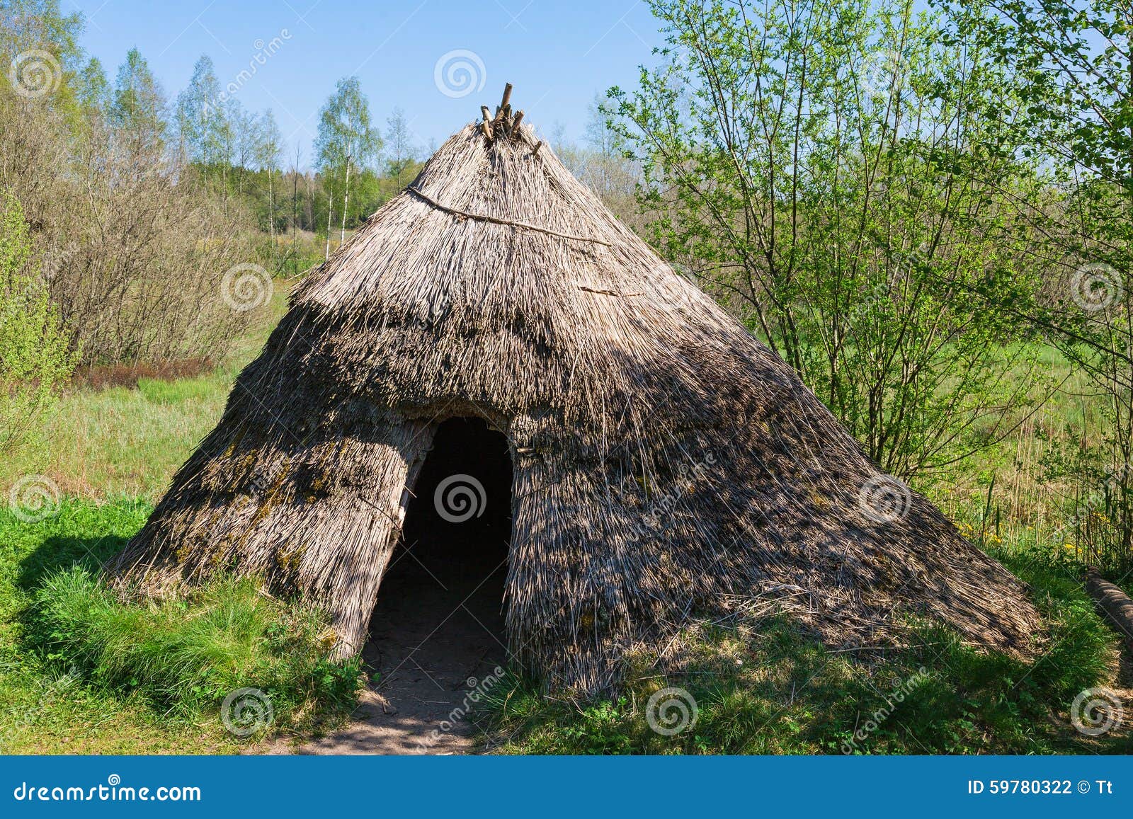 Grass hut stock photo. Image of shack, nature, landscape - 59780322