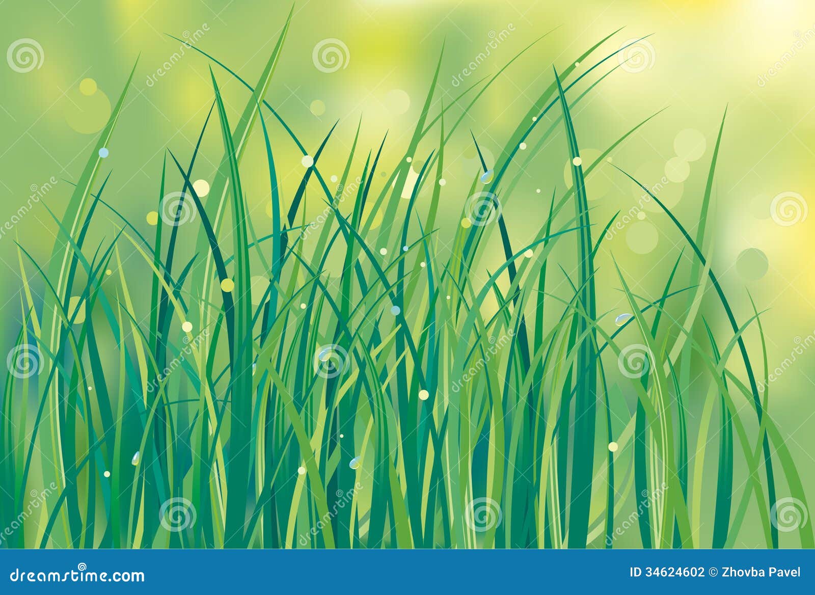 Grass - Illustration stock vector. Illustration of meadow - 34624602