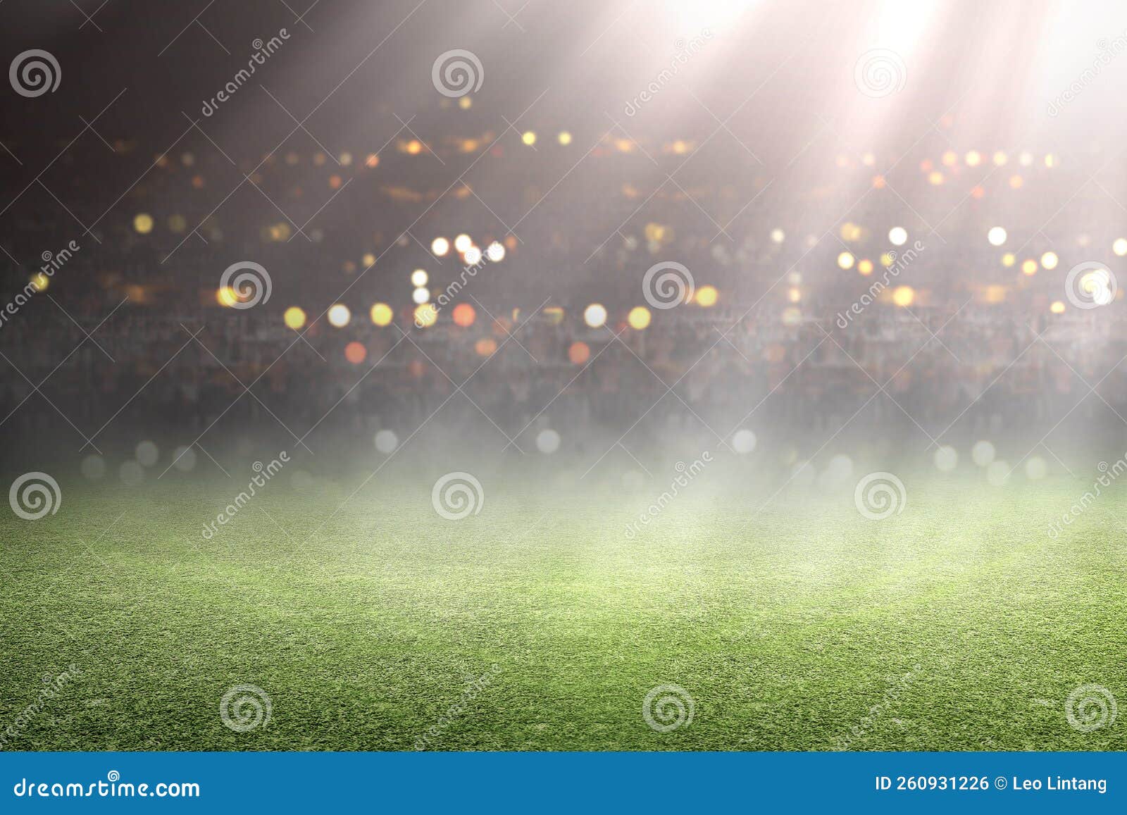 Grass stock photo. Image of sport, bright, soccer, inside - 260931226