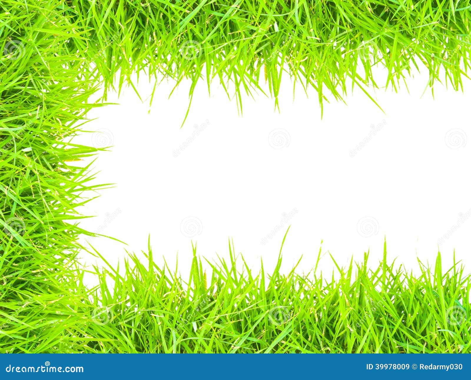 Grass isolated border C stock image. Image of summer - 39978009