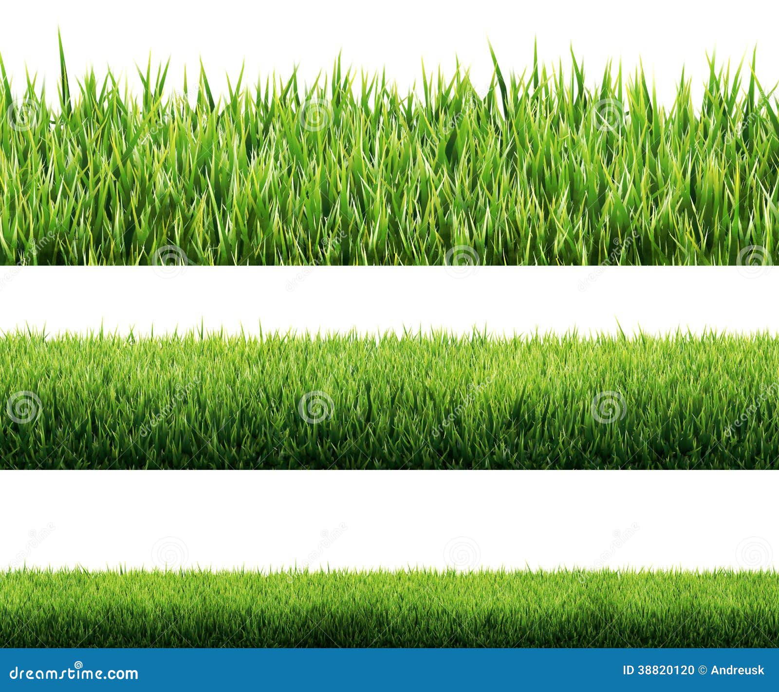Grass isolated stock photo. Image of season, outdoor - 38820120