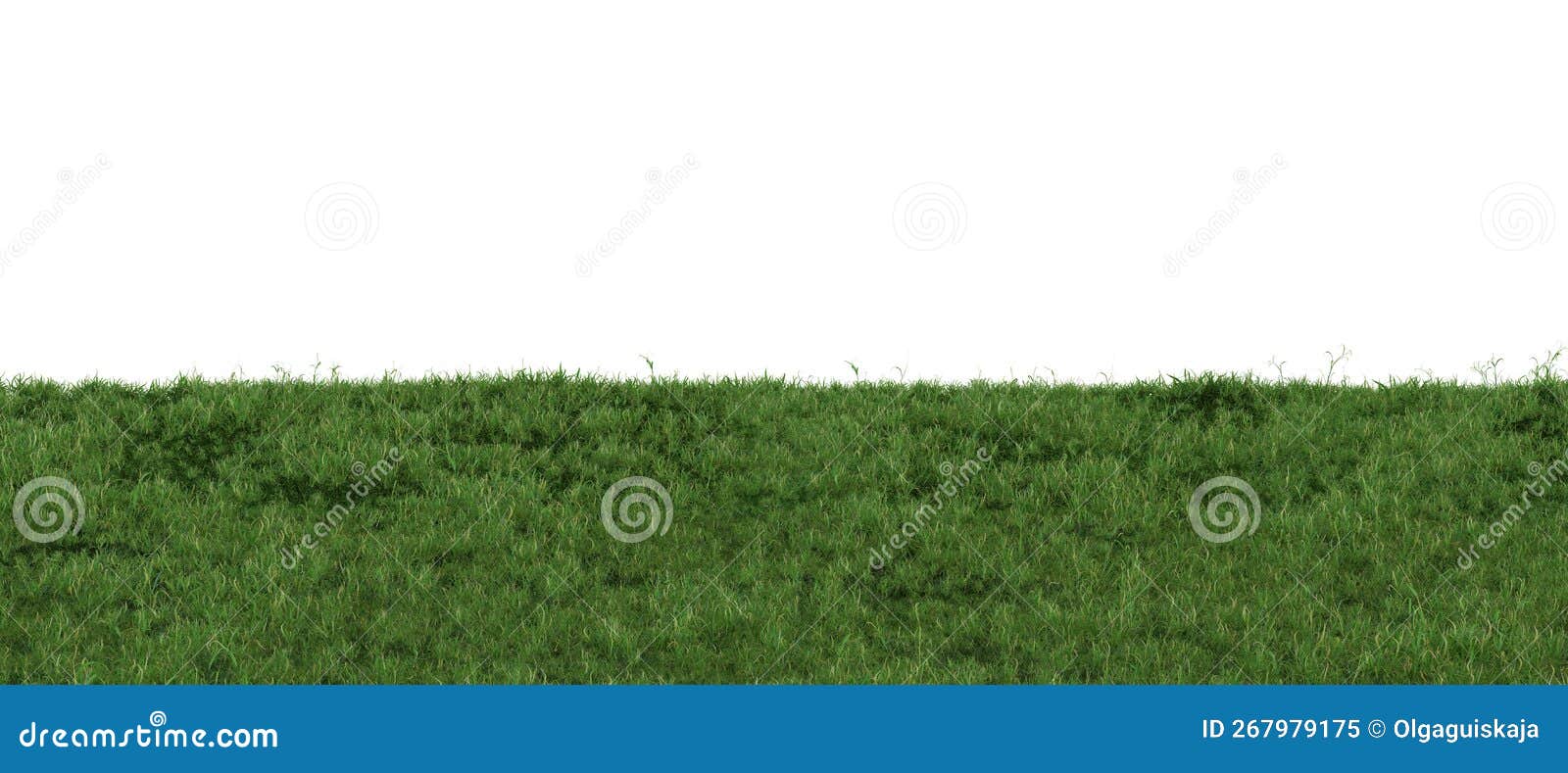 Grass Isolated on White Background. Meadow, Lawn As Foreground. Lower ...