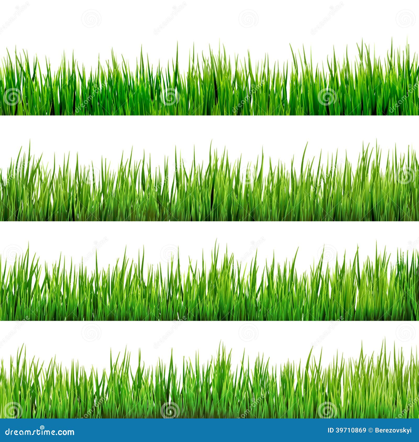 Grass Isolated on White. EPS 10 Stock Vector - Illustration of herb ...